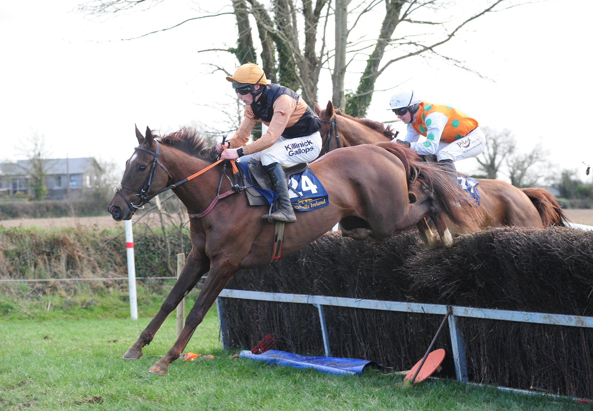 Andrew Latta's Instagram, Twitter & Facebook on IDCrawl