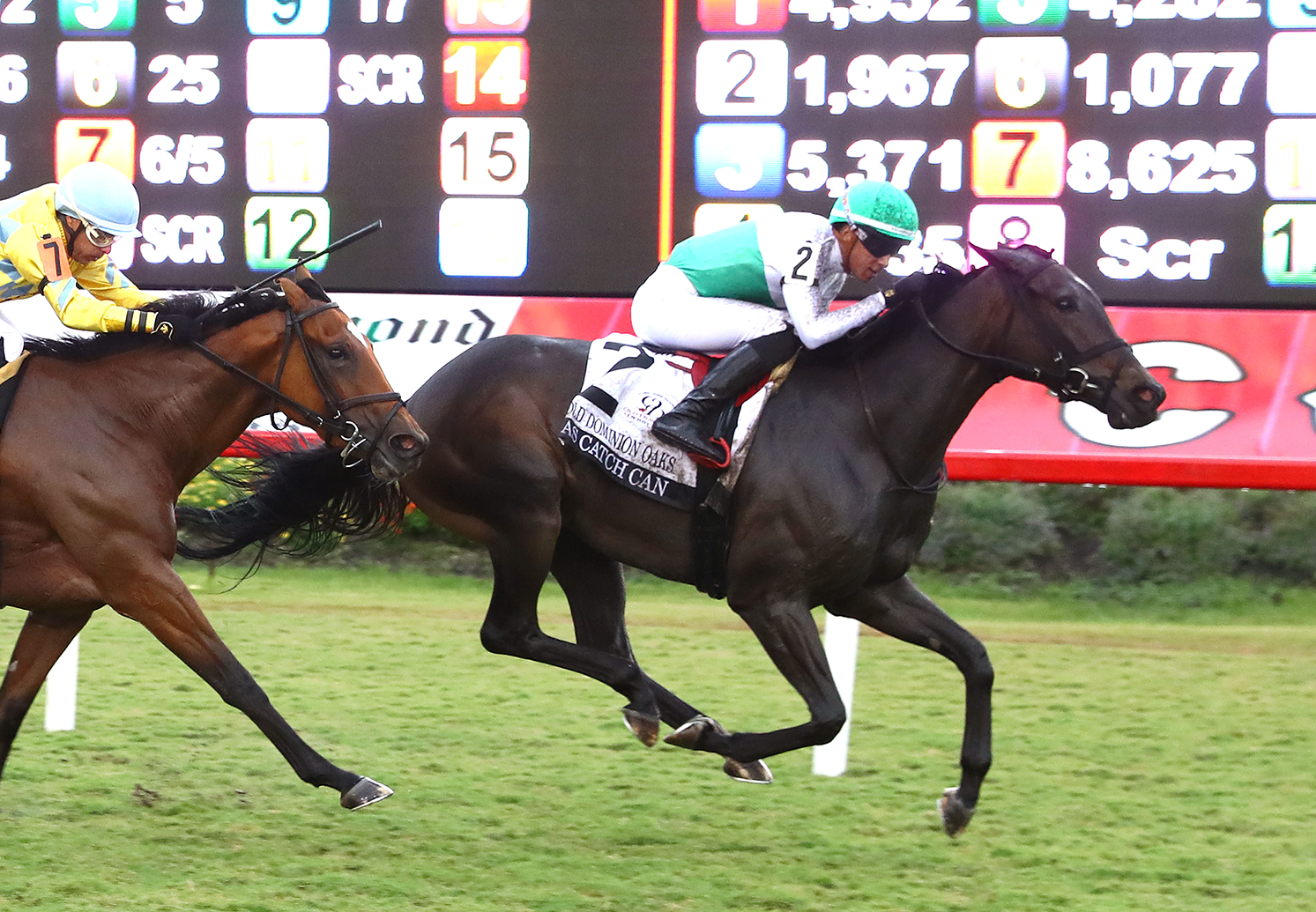 Saturday Stakes Treble for Mo Town