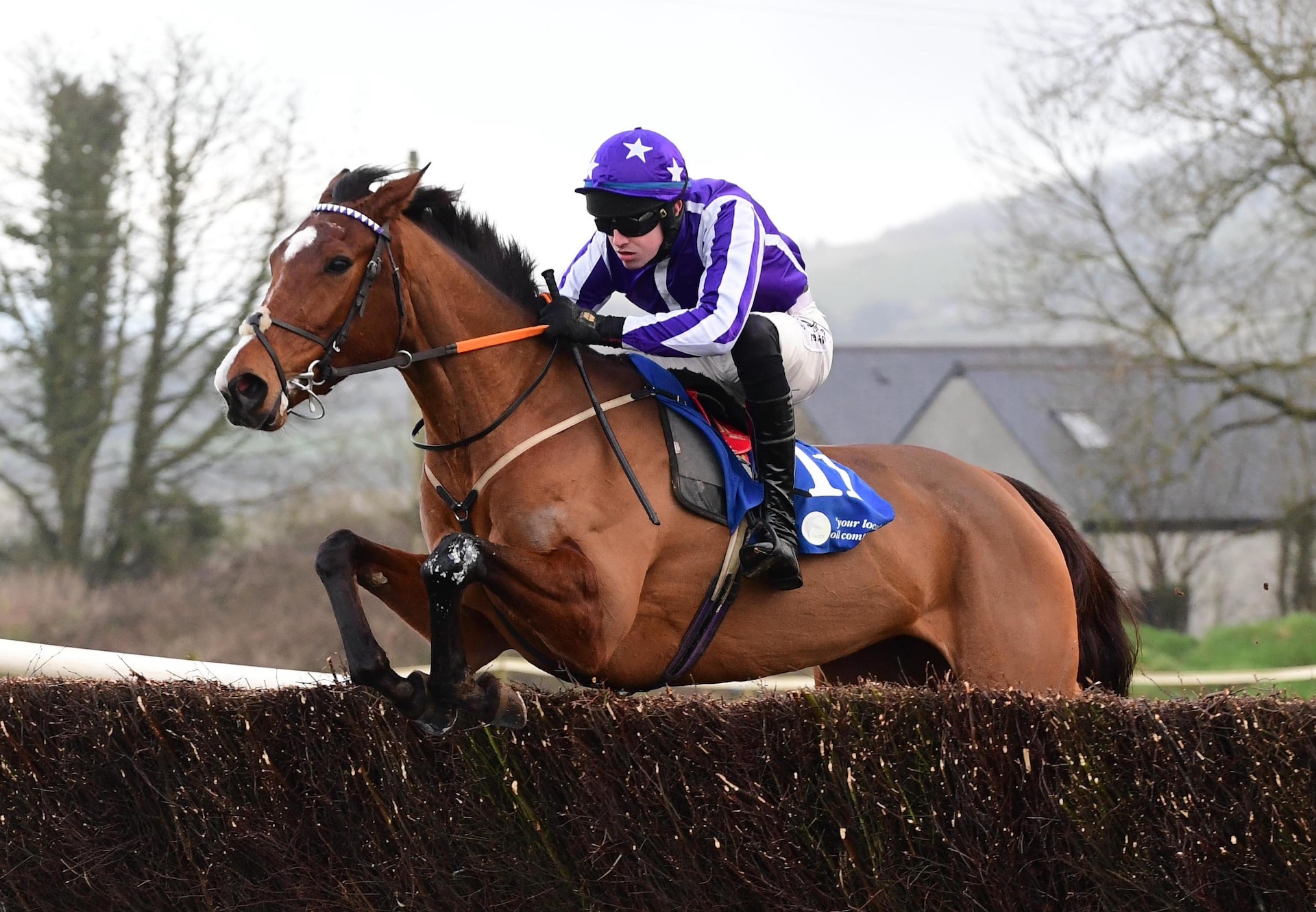 Exciting Getaway Mare Bolts Up At Dromahane