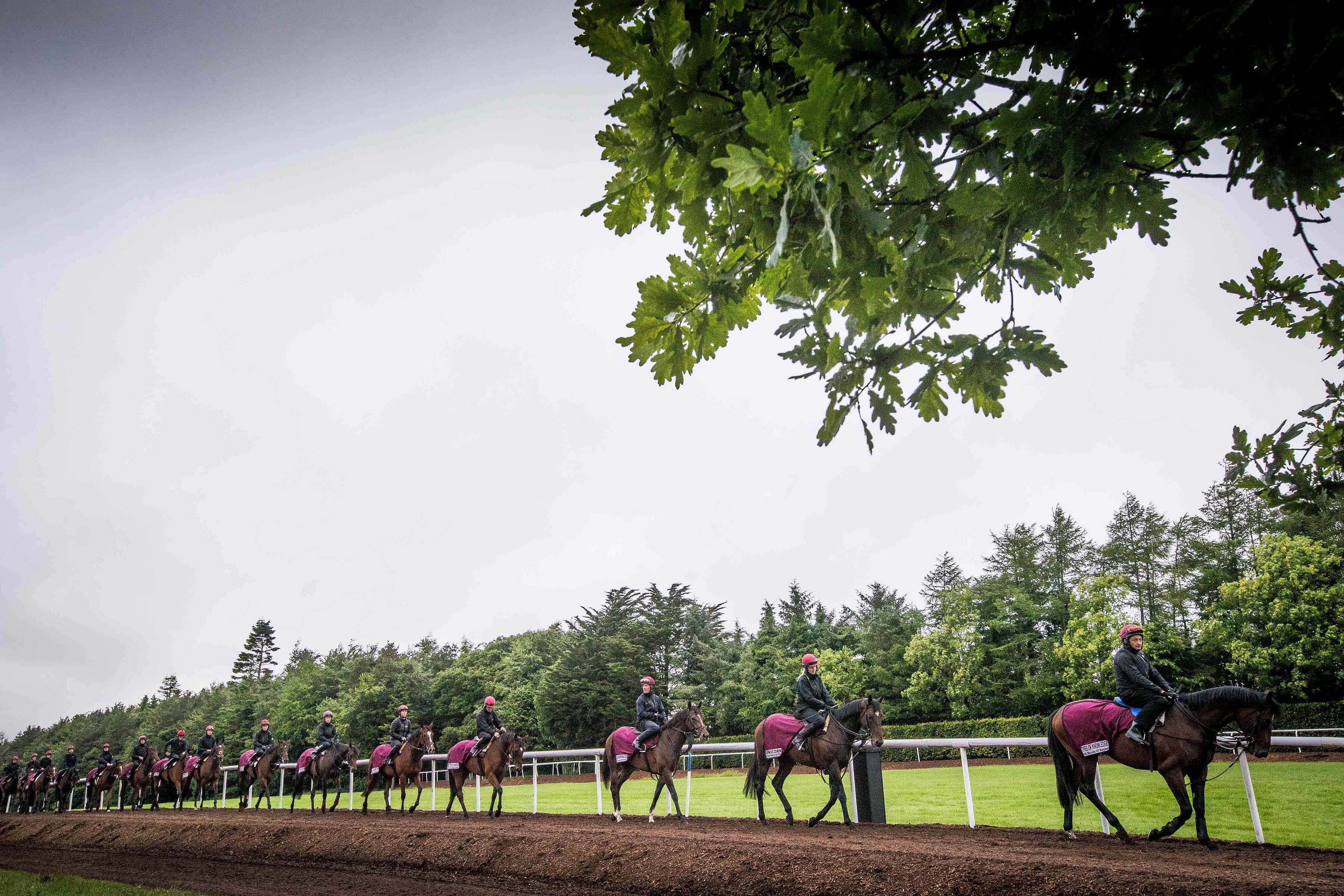 Ballydoyle’s Declarations for Saturday 31st August 2024.