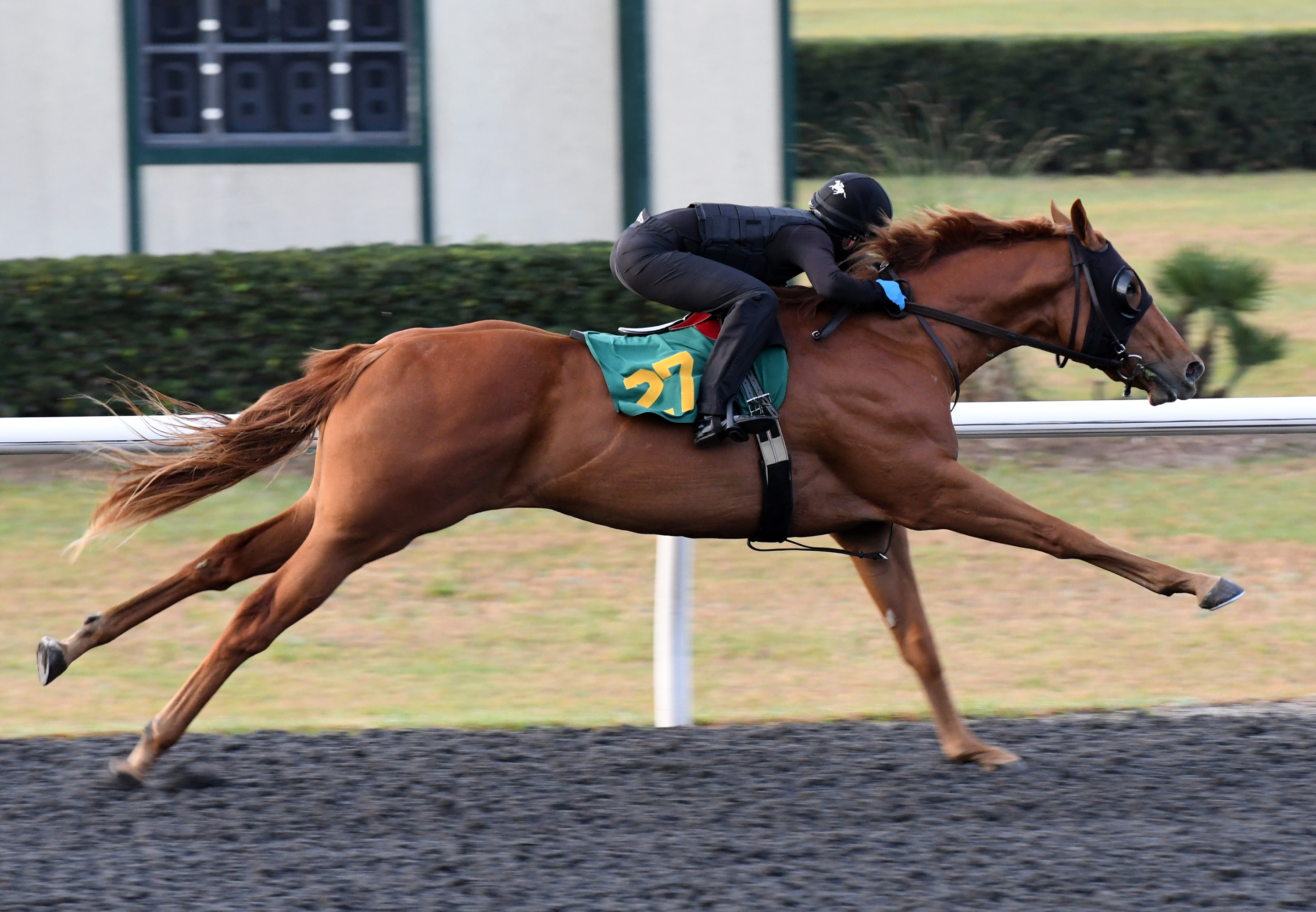 $390,000 Air Force Blue Colt Kicks Off Two-Year-Old Sales