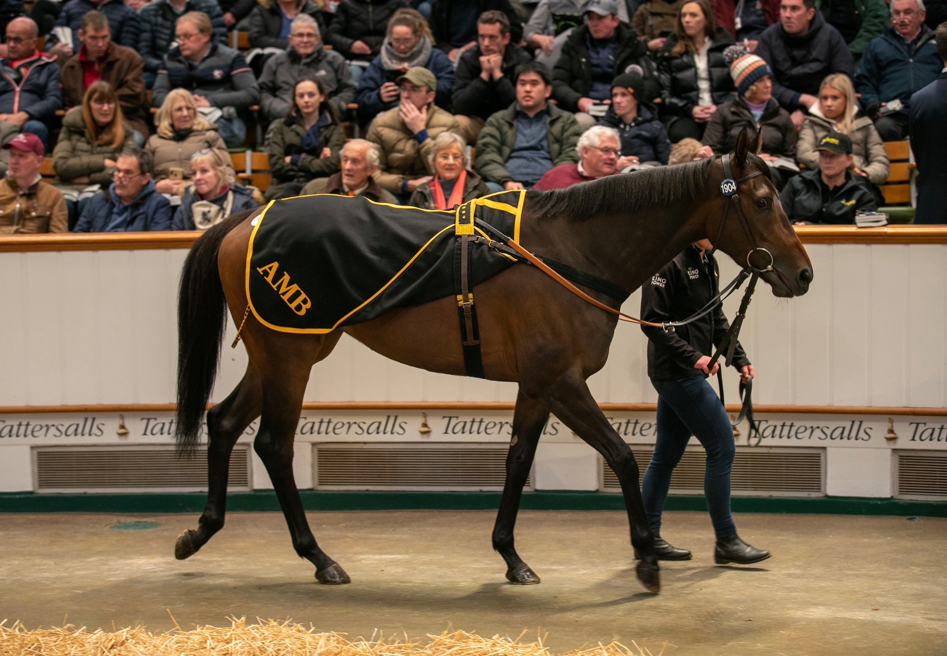 No Nay Never’s Alcohol Free Brings 5.4 Million At Tattersalls