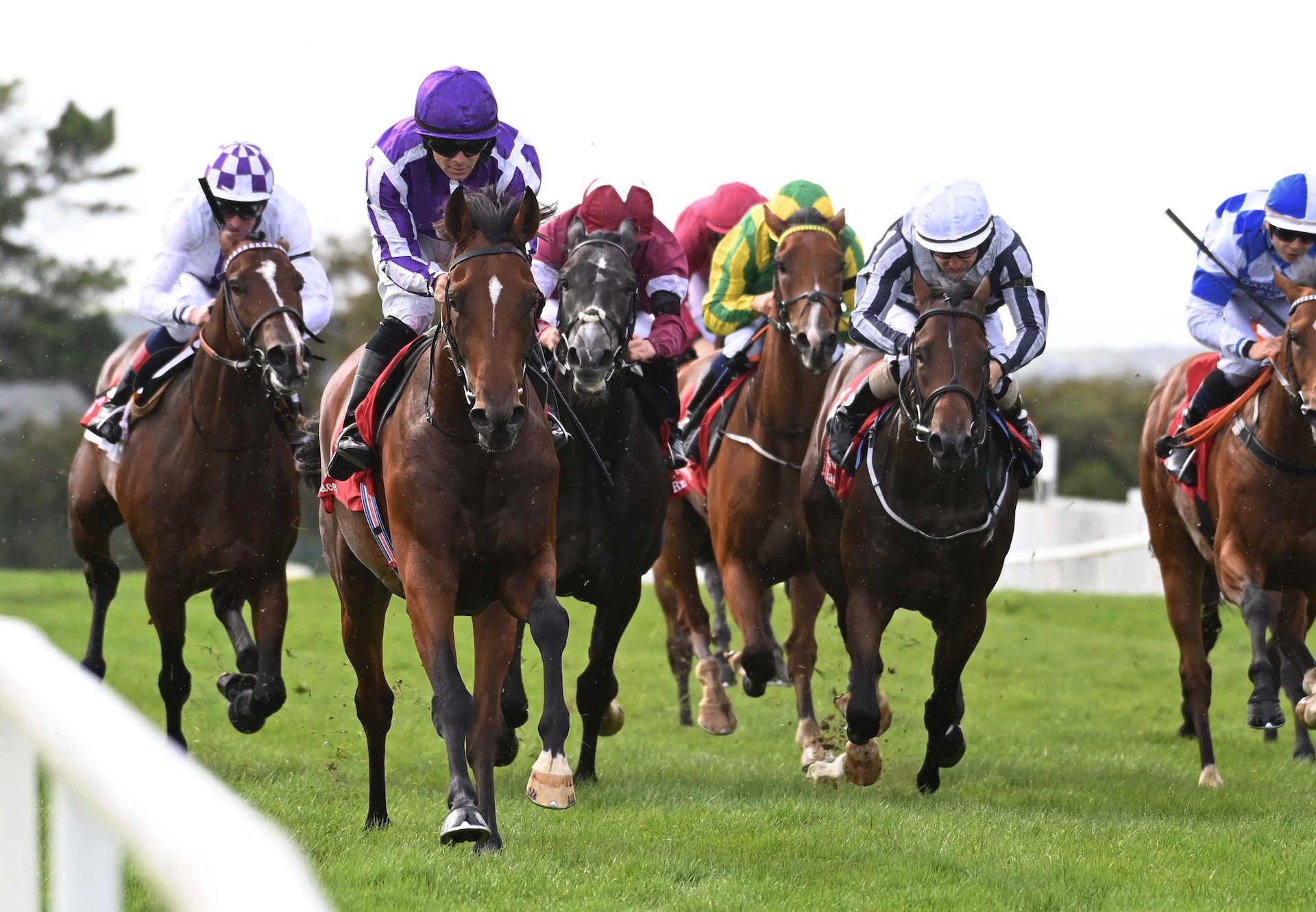 Classy Camelot Colt Makes Perfect Start