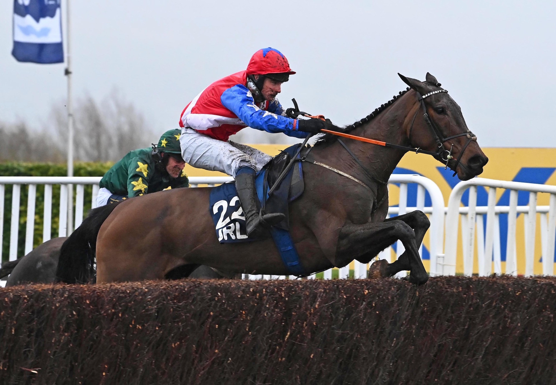 Progressive Daughter Of Yeats Raises Kim Muir Cup