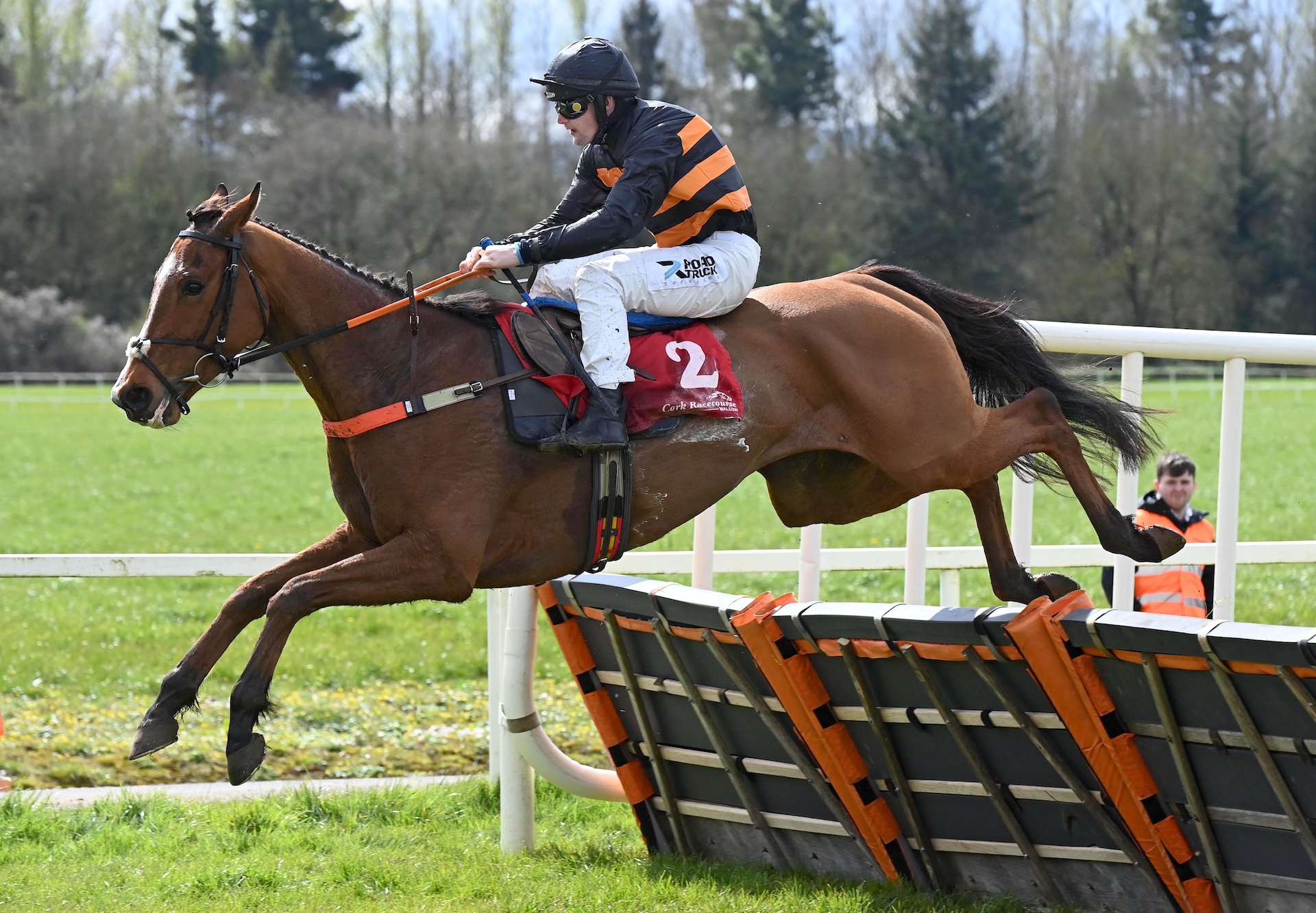 Soldier Of Fortune Gelding Impresses In Maiden Hurdle