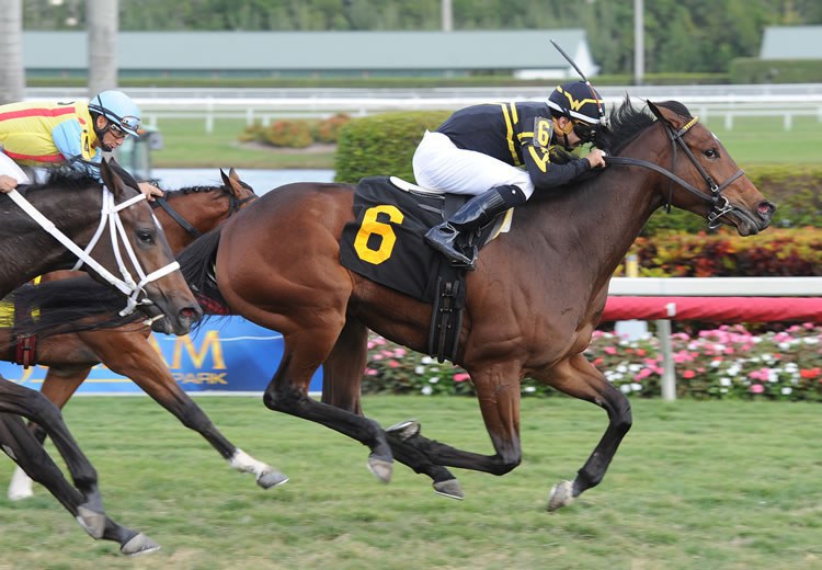 Debut Winner for Lucky