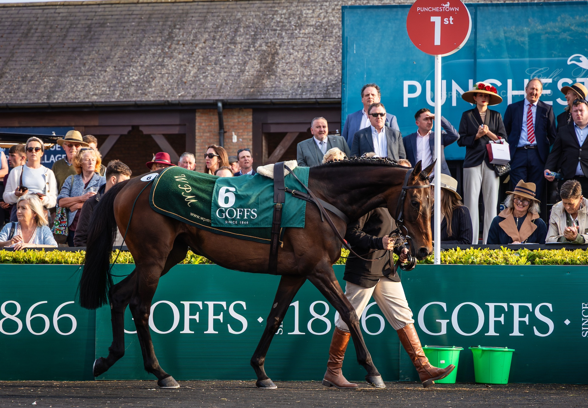 Aurora Vega Is The Star Of The Show At Punchestown Sale