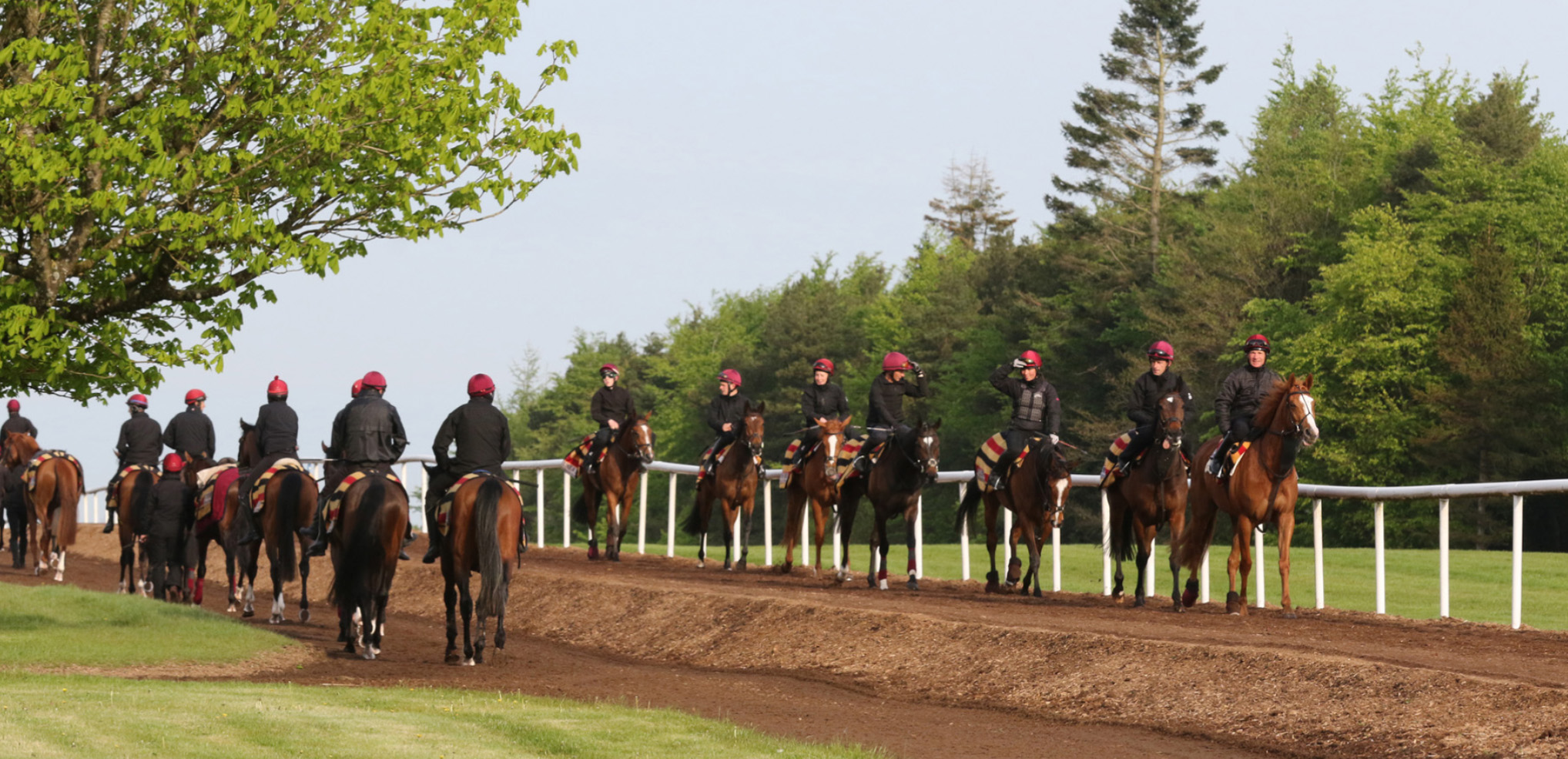 Ballydoyle’s Declarations for The Curragh, Saturday 9th August.