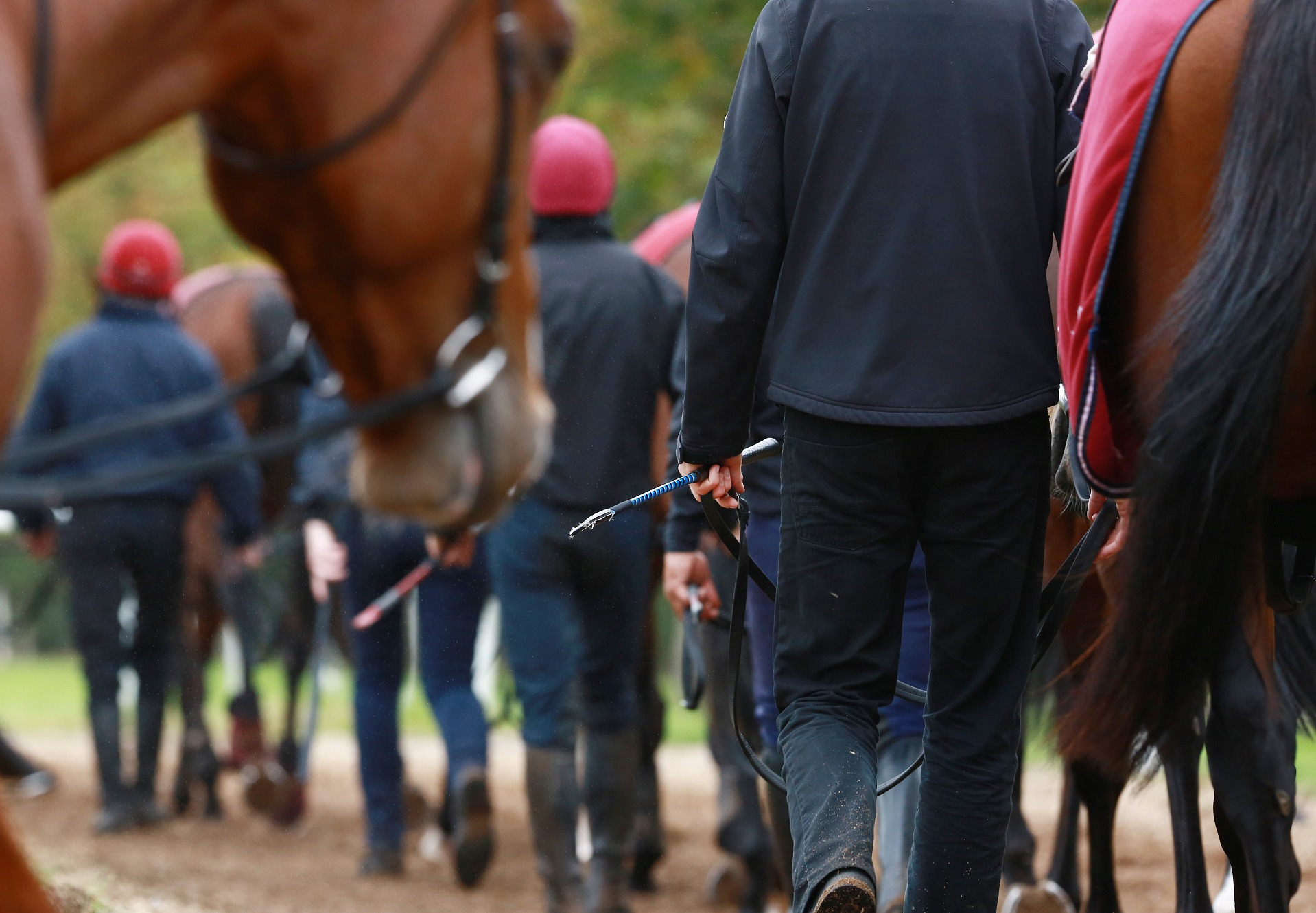 Ballydoyle’s Declarations for Glorious Goodwood Thursday 1st August, 2024.