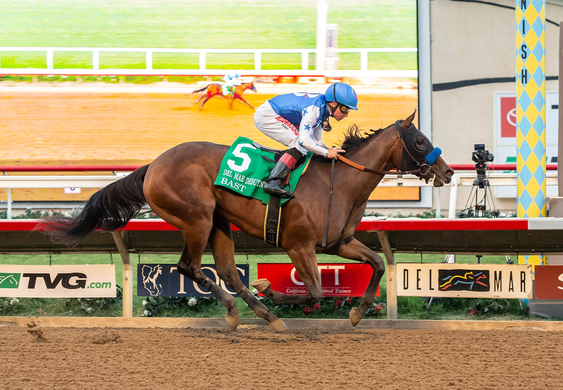 Brilliant Bast Claims a Second Grade I