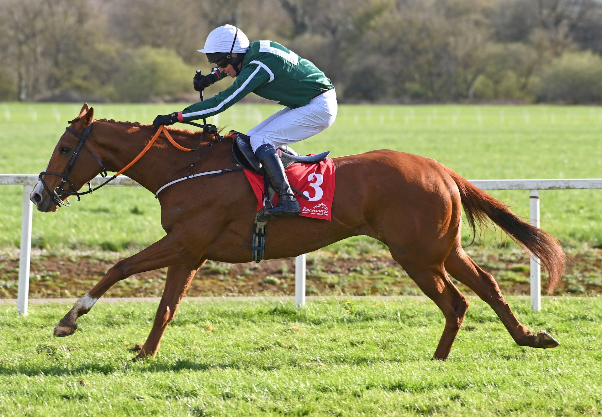 Soldier Of Fortune Mare Makes Perfect Stable Debut