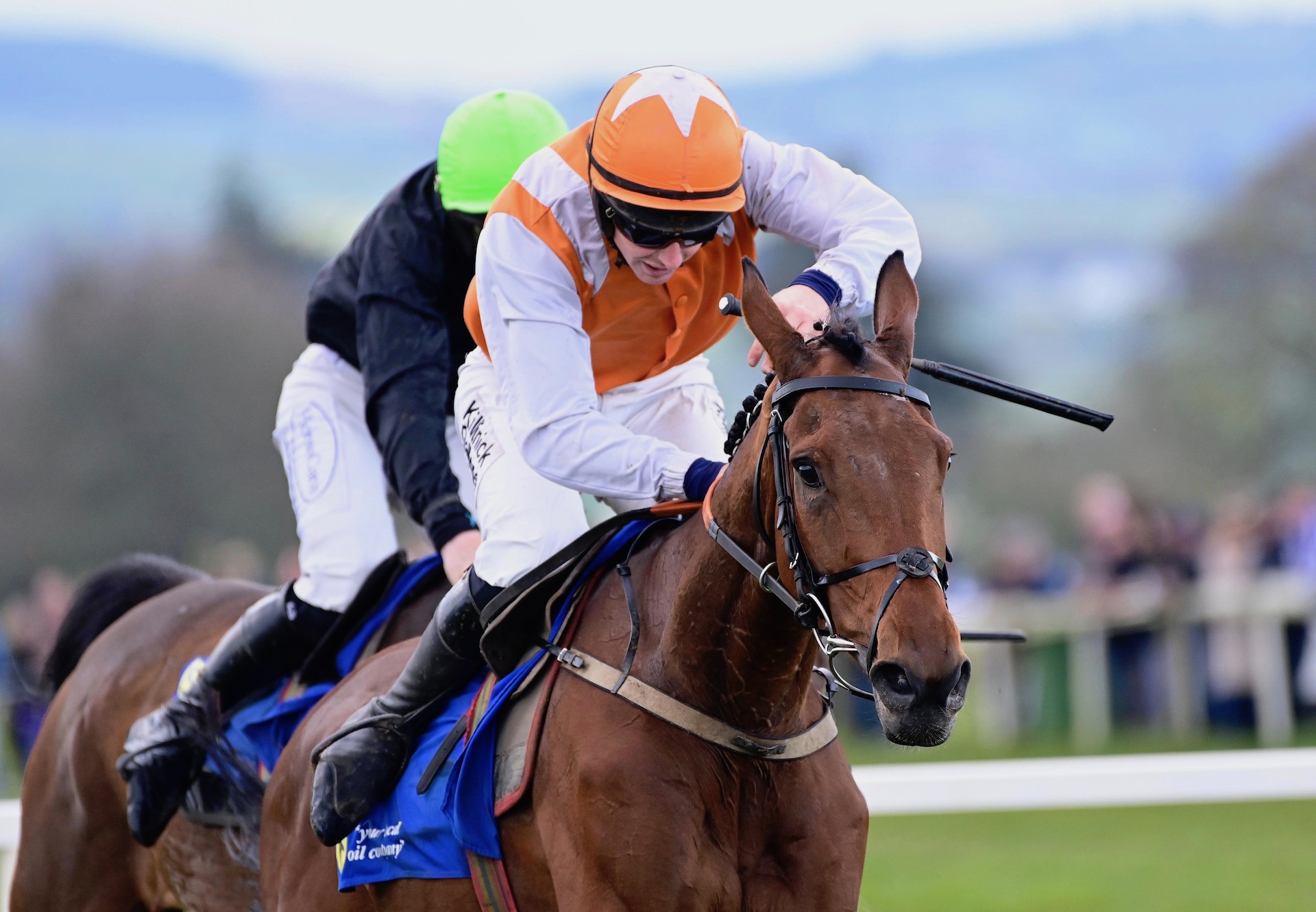 Debut Winner Continues Walk In The Park’s Fine Run