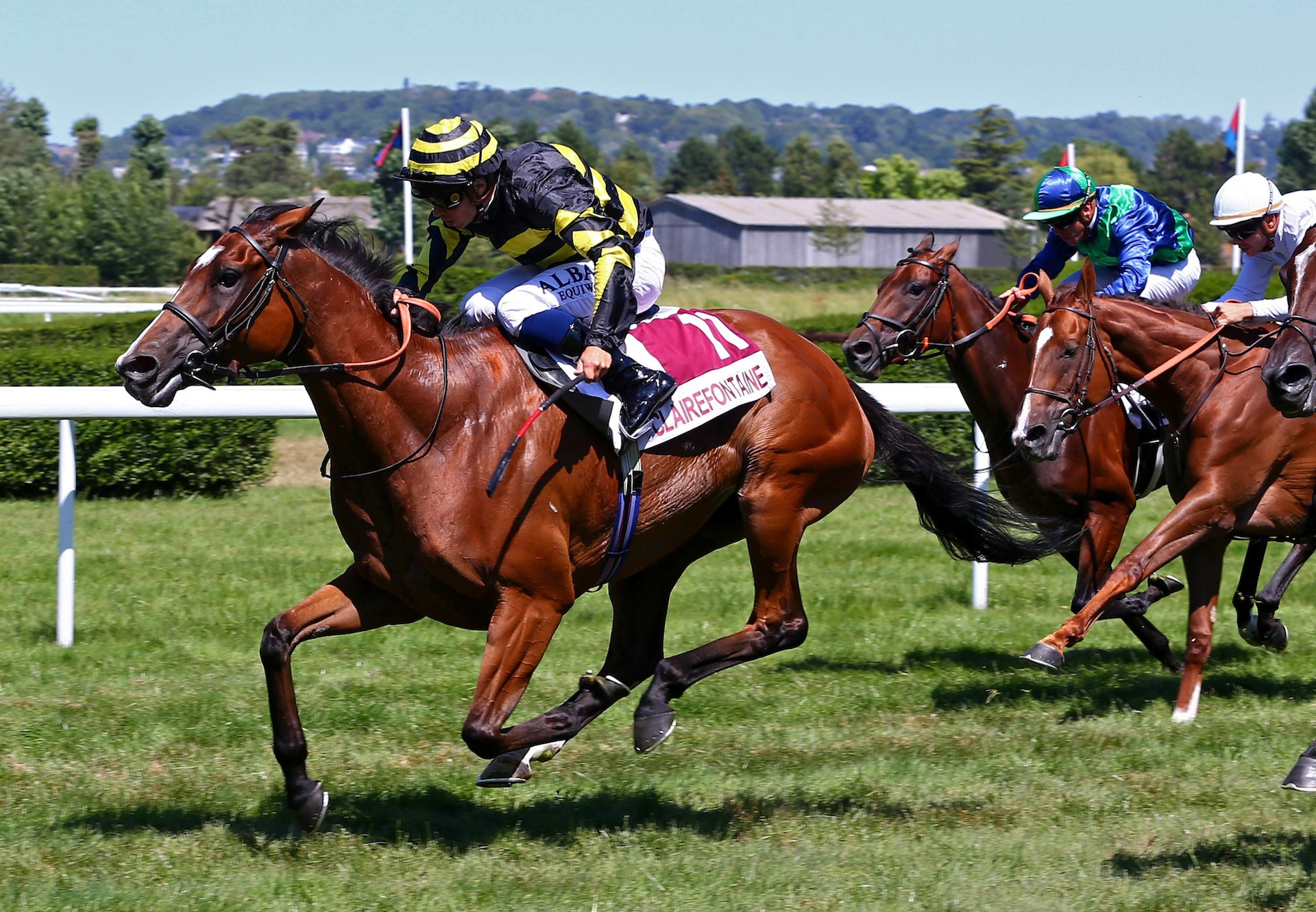 Galileo Sires 300th Stakes Winner