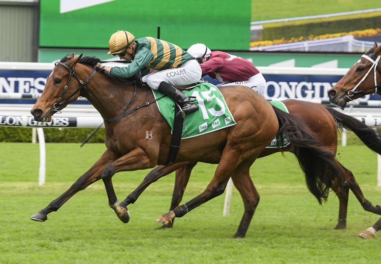 Rubick Filly Wins Highway Event