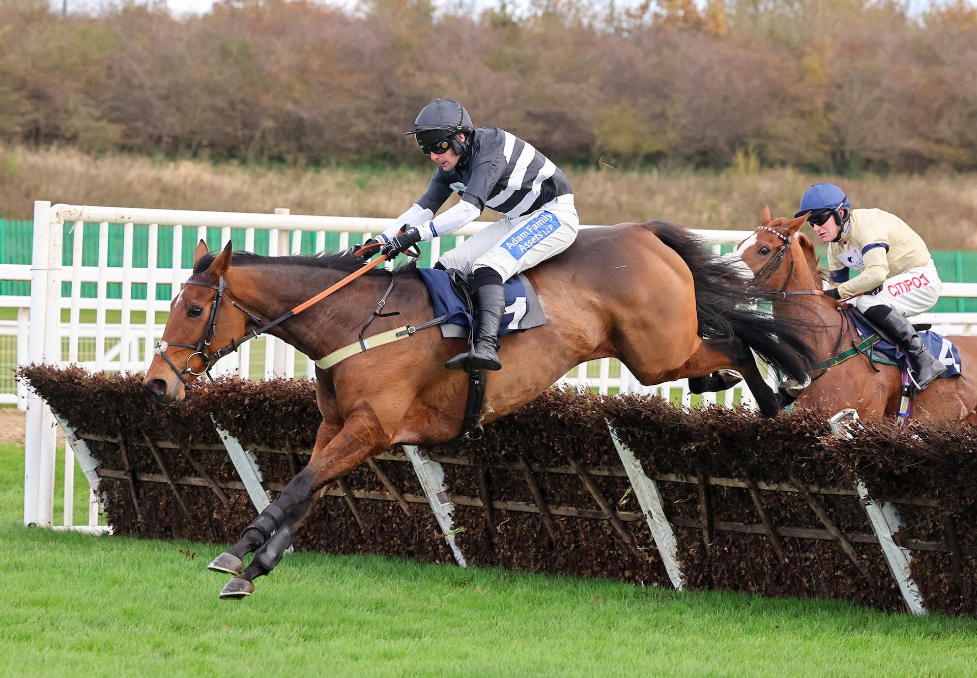 Mahler Mare In Command On Hurdle Debut