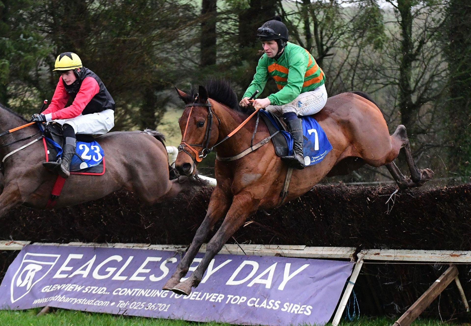 Eye-Catching Debut Win Between The Flags For Maxios Gelding