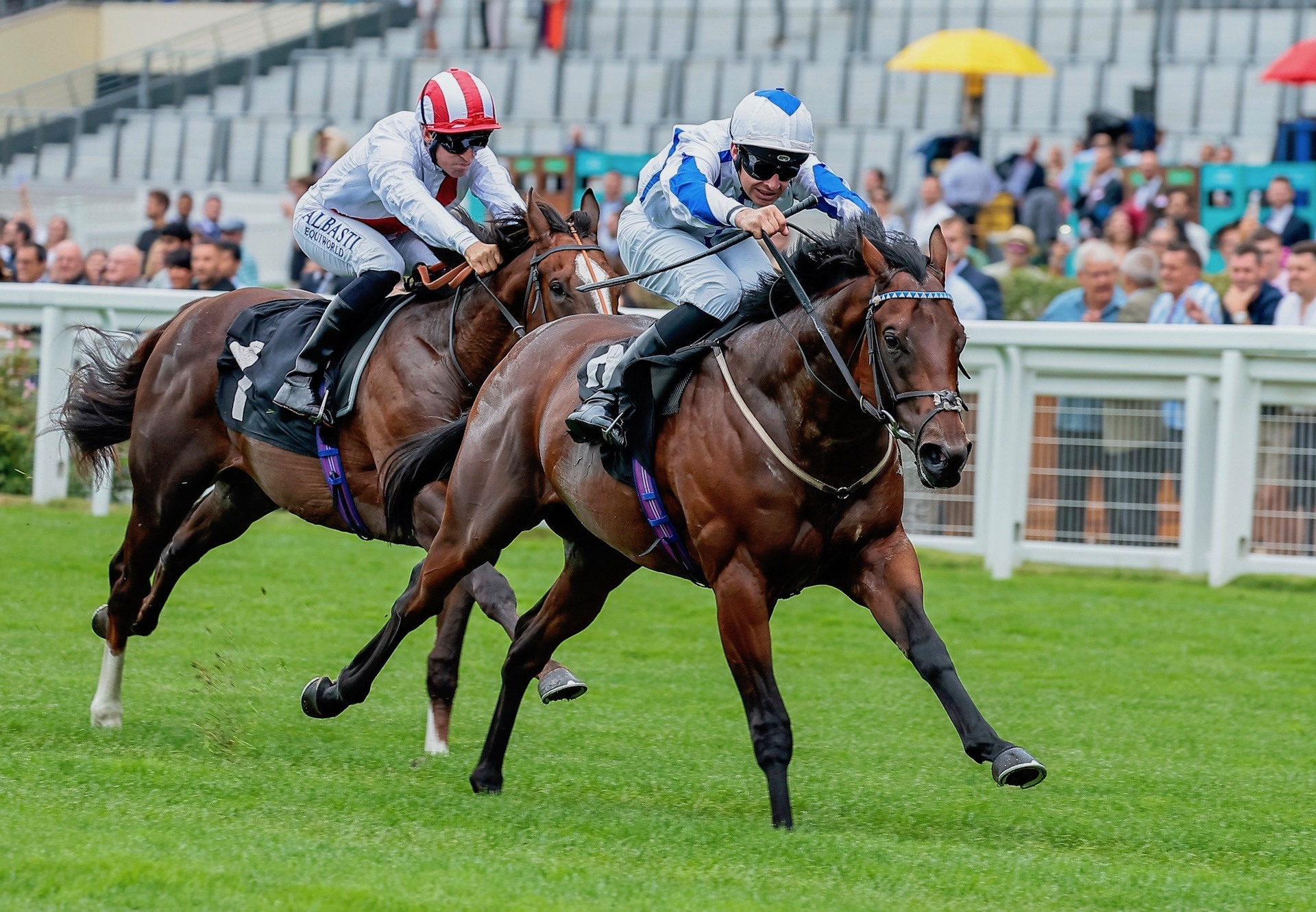 Saxon Warrior Colt Gains Stylish Maiden Win At Ascot