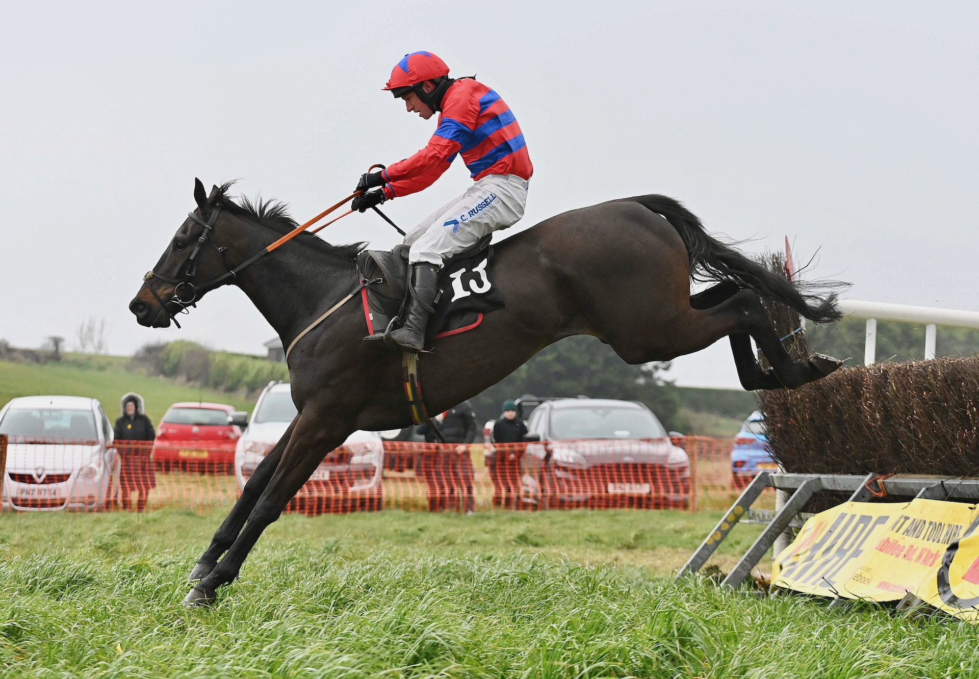 Impressive Four-Year-Old Winner By Order Of St George