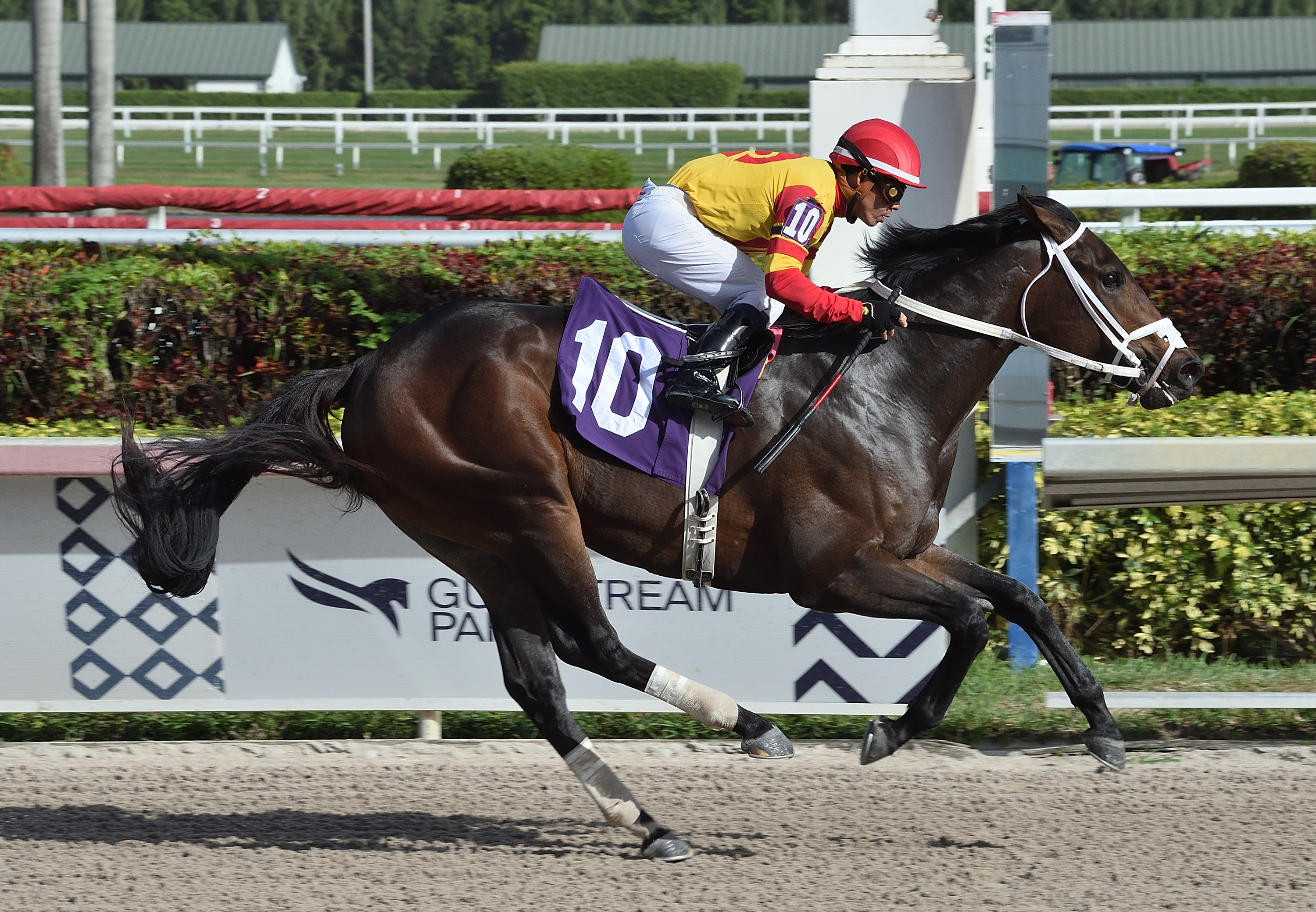 Caracaro Newest ‘Rising Star’ For Uncle Mo