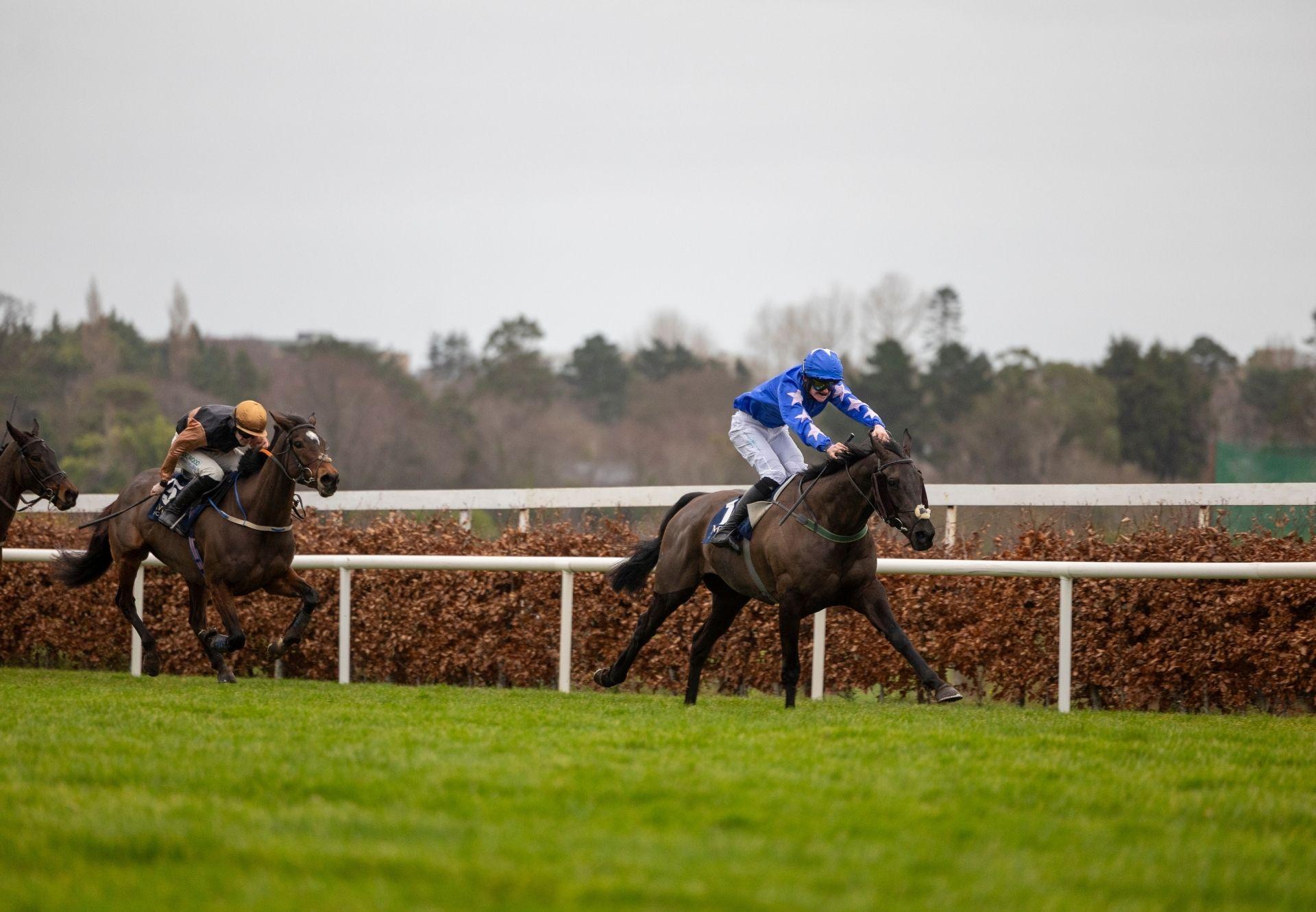 Progressive Son Of Vadamos Secures Leopardstown Listed Win