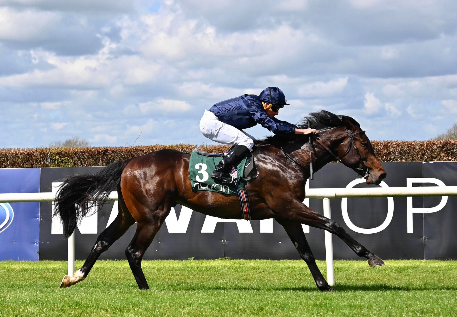 Ascot Aims For Ballydoyle’s Impressive No Nay Never Juvenile