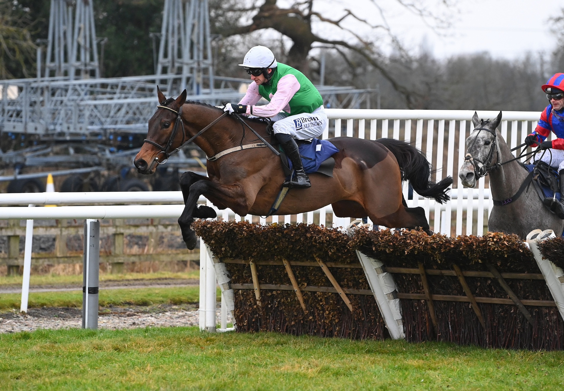Son Of Walk In The Park Makes It Two From Two Over Hurdles