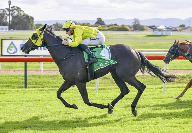 Promising Pierro Filly Breaks Maiden