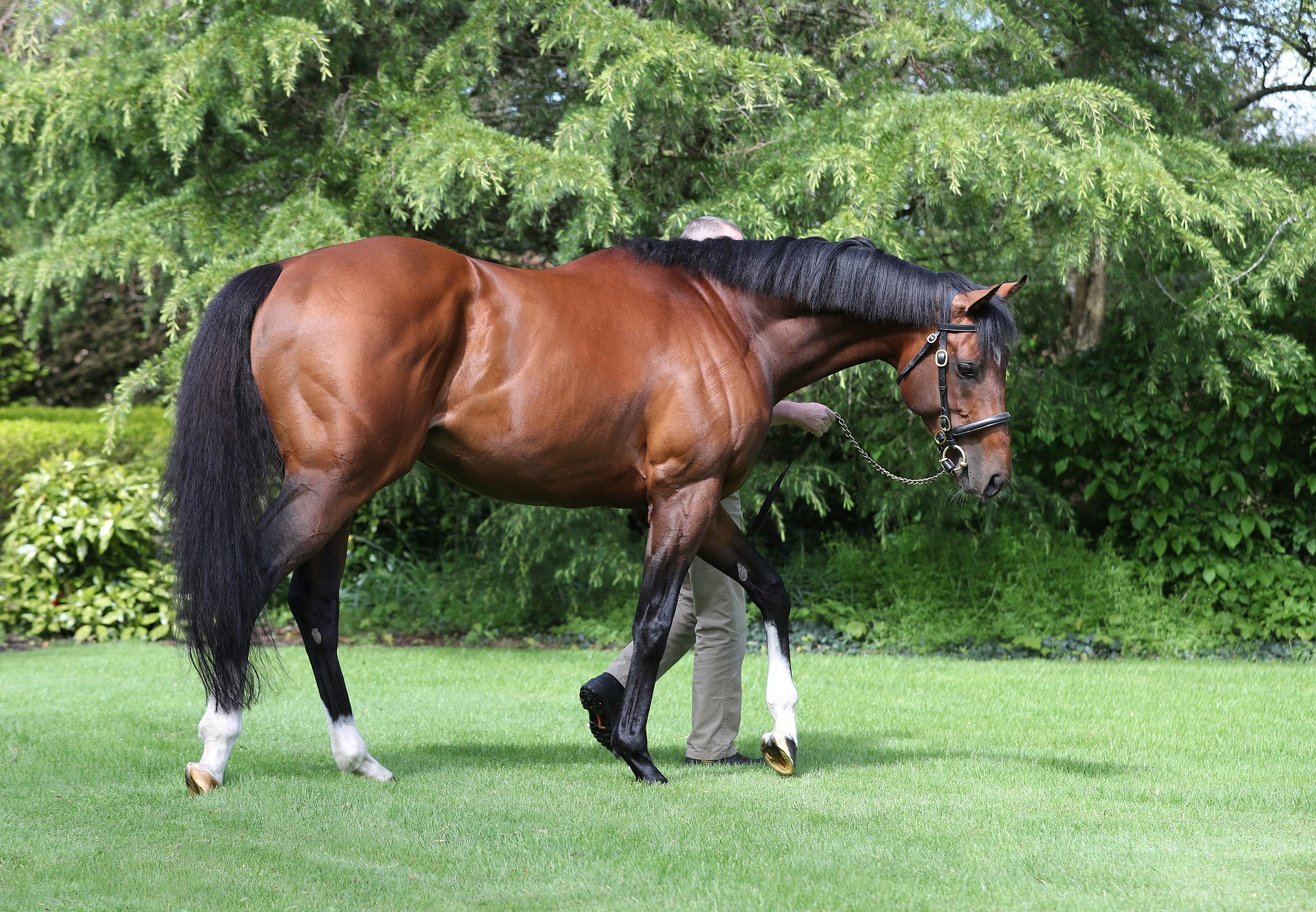 Strong Orby Results for Churchill