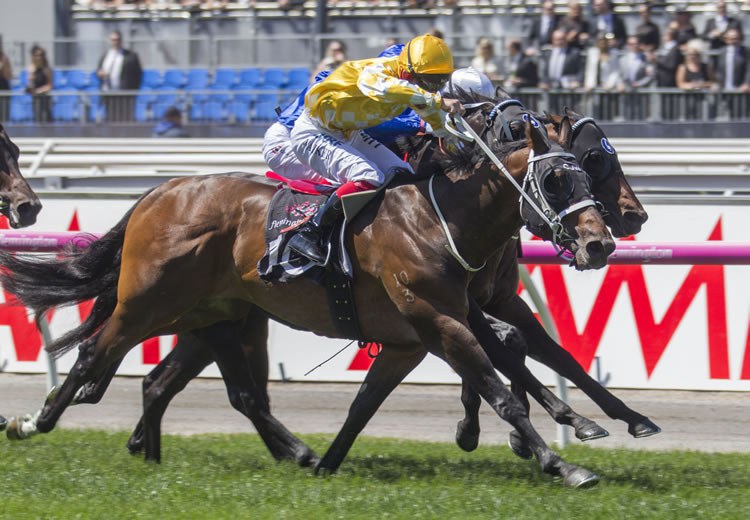 Group Three Win for Royally Bred Fastnet Colt