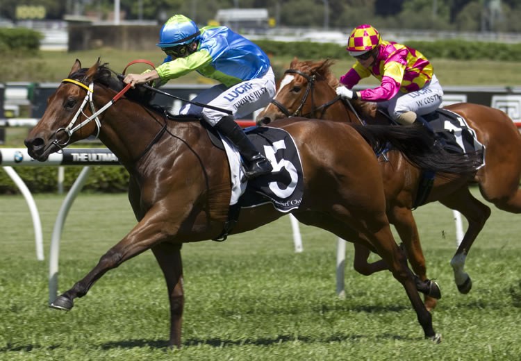 First Aussie Winner for Uncle Mo