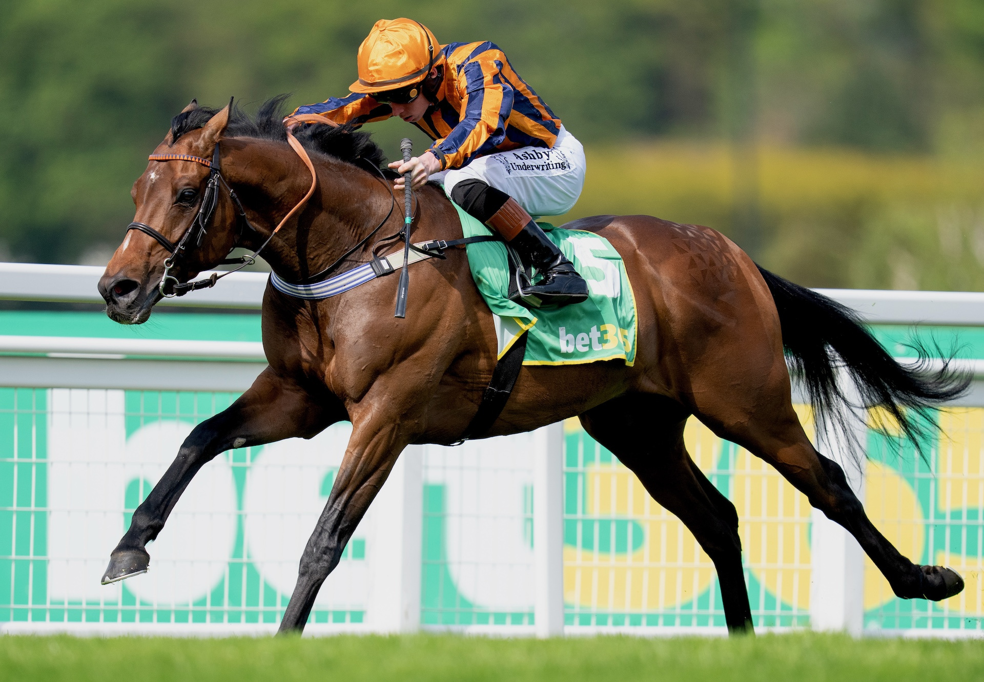 Impressive Group 2 Winner Kicks Off Double For Camelot