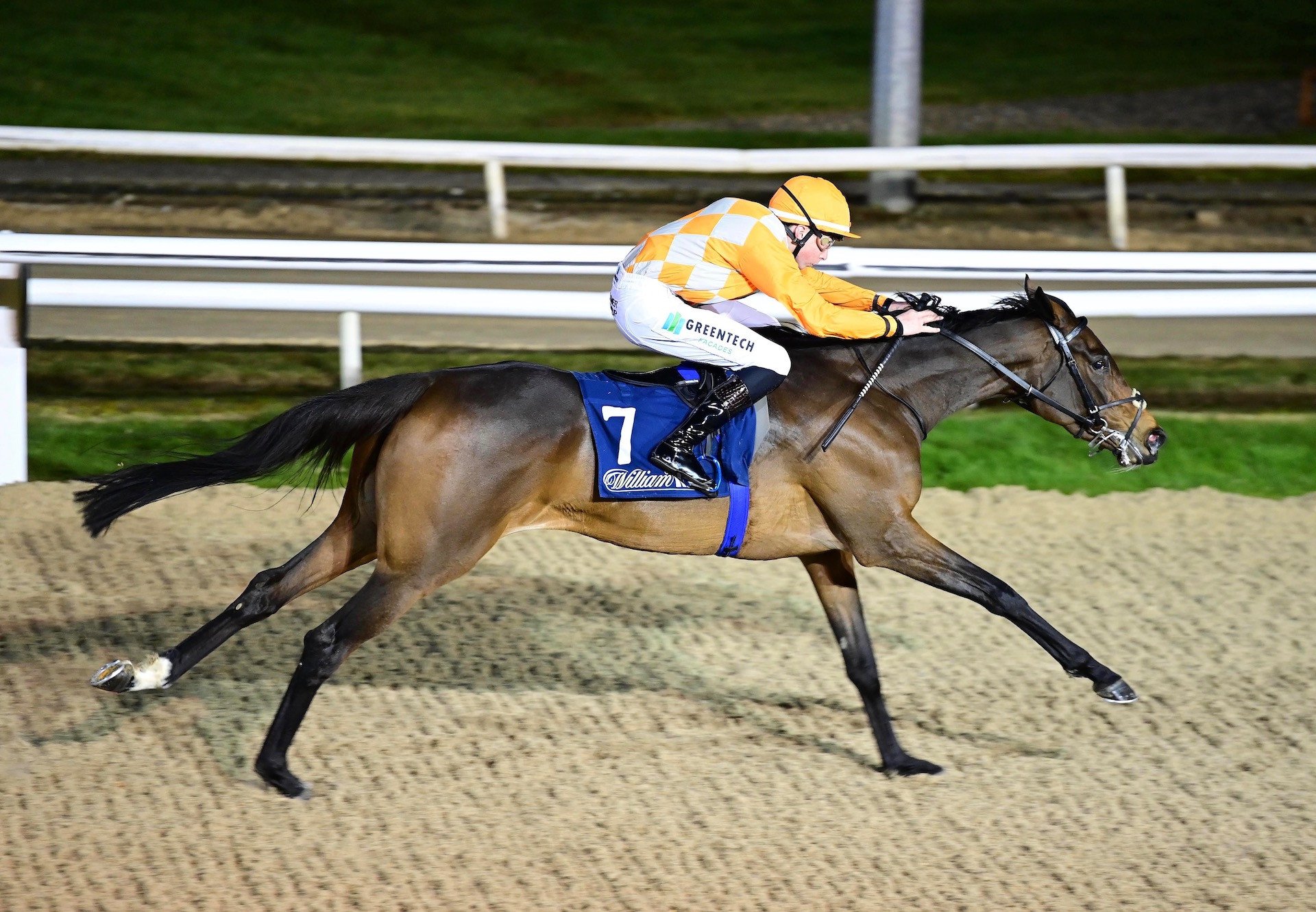 Well Related Camelot Filly Delivers With Maiden Win