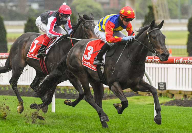 Winning Hat-Trick for So You Think Filly