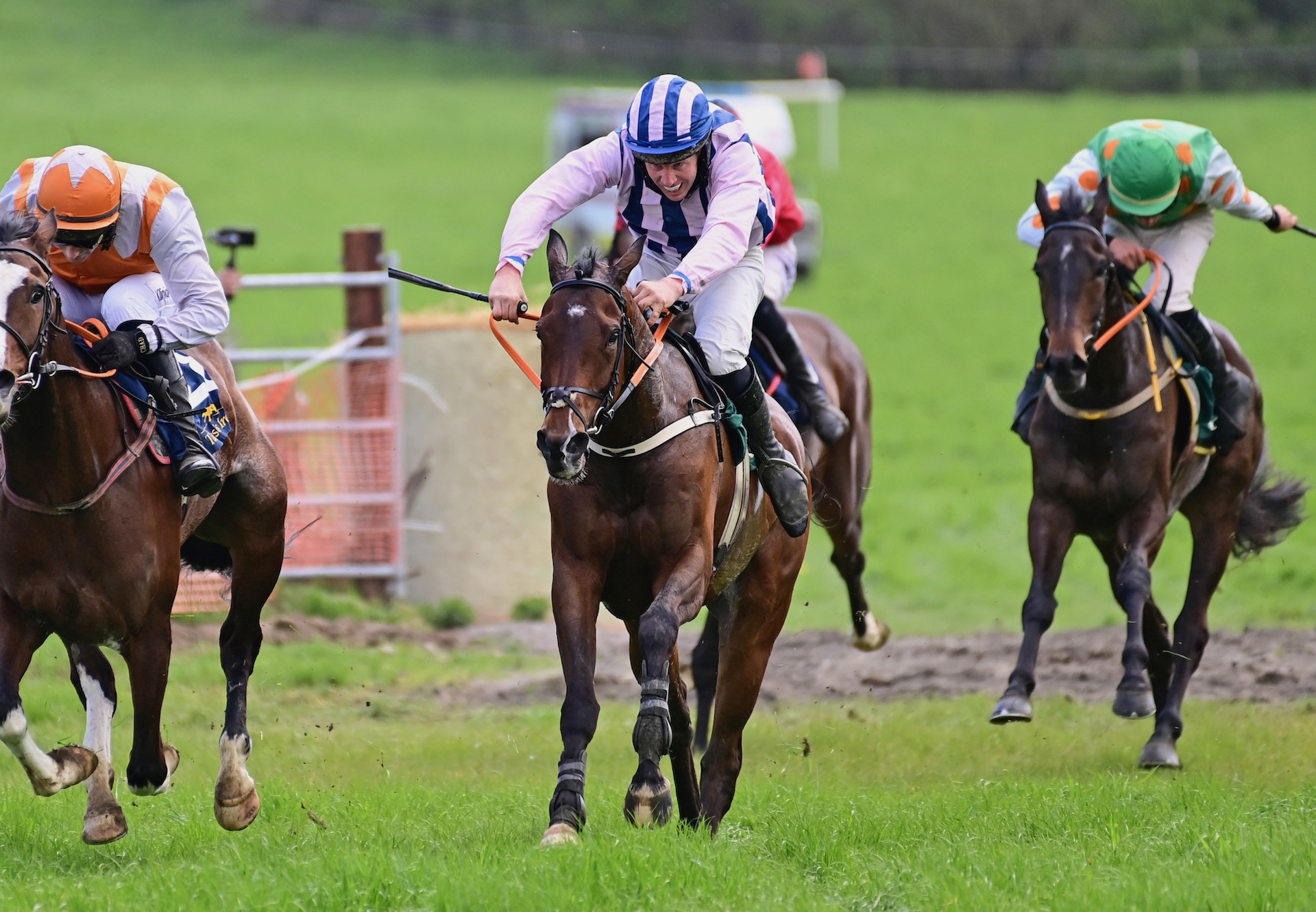 Four-Year-Old Winner Continues Fine Run For Maxios