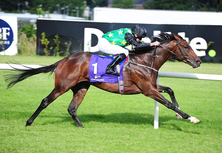 Galileo night at Leopardstown