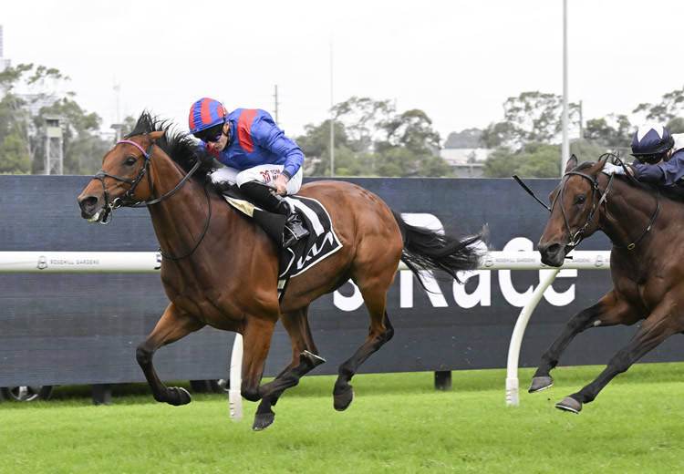 Dubai Honour Wins G1 Tancred