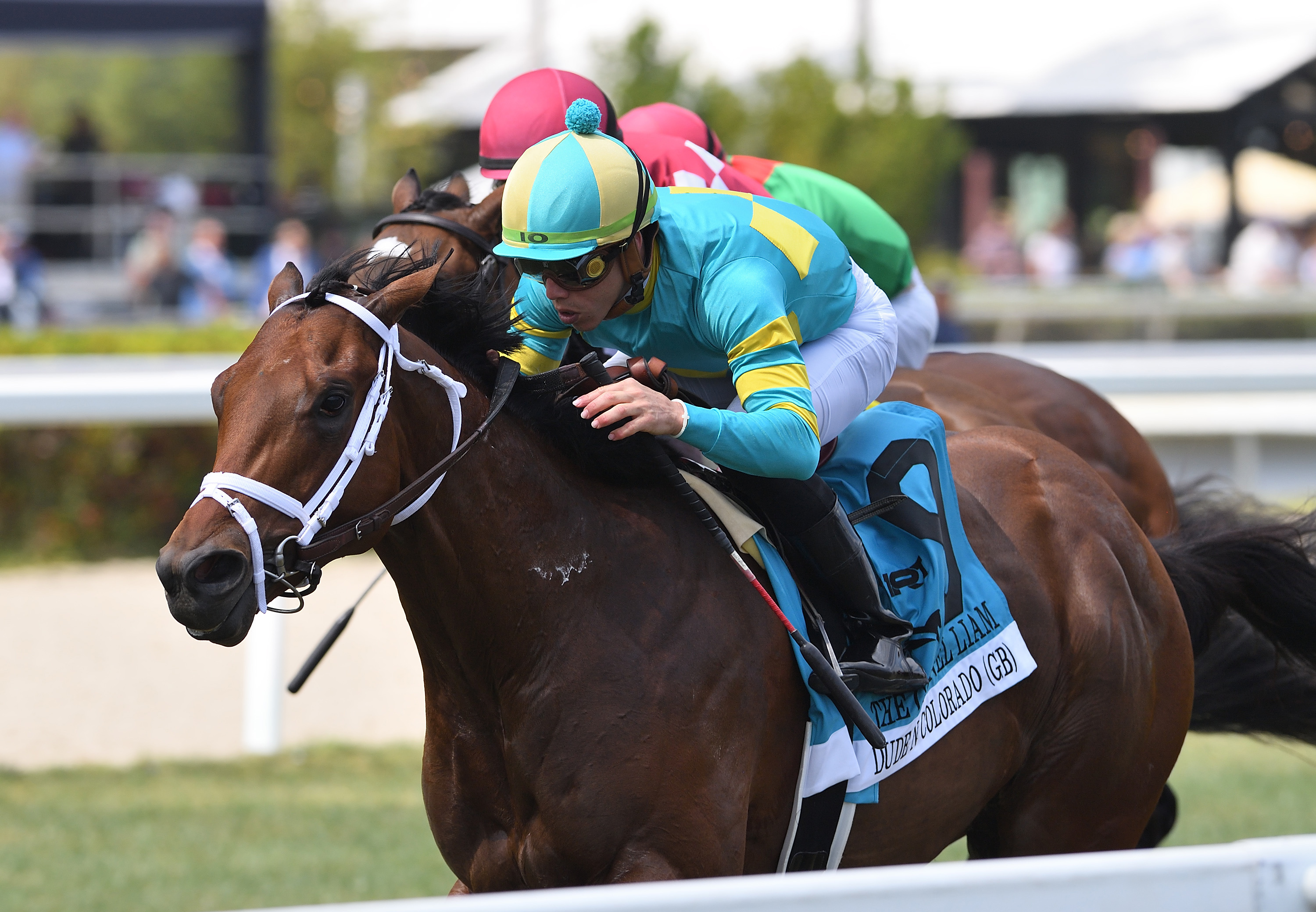Dude N Colorado Earns First Stakes Victory in Colonel Liam