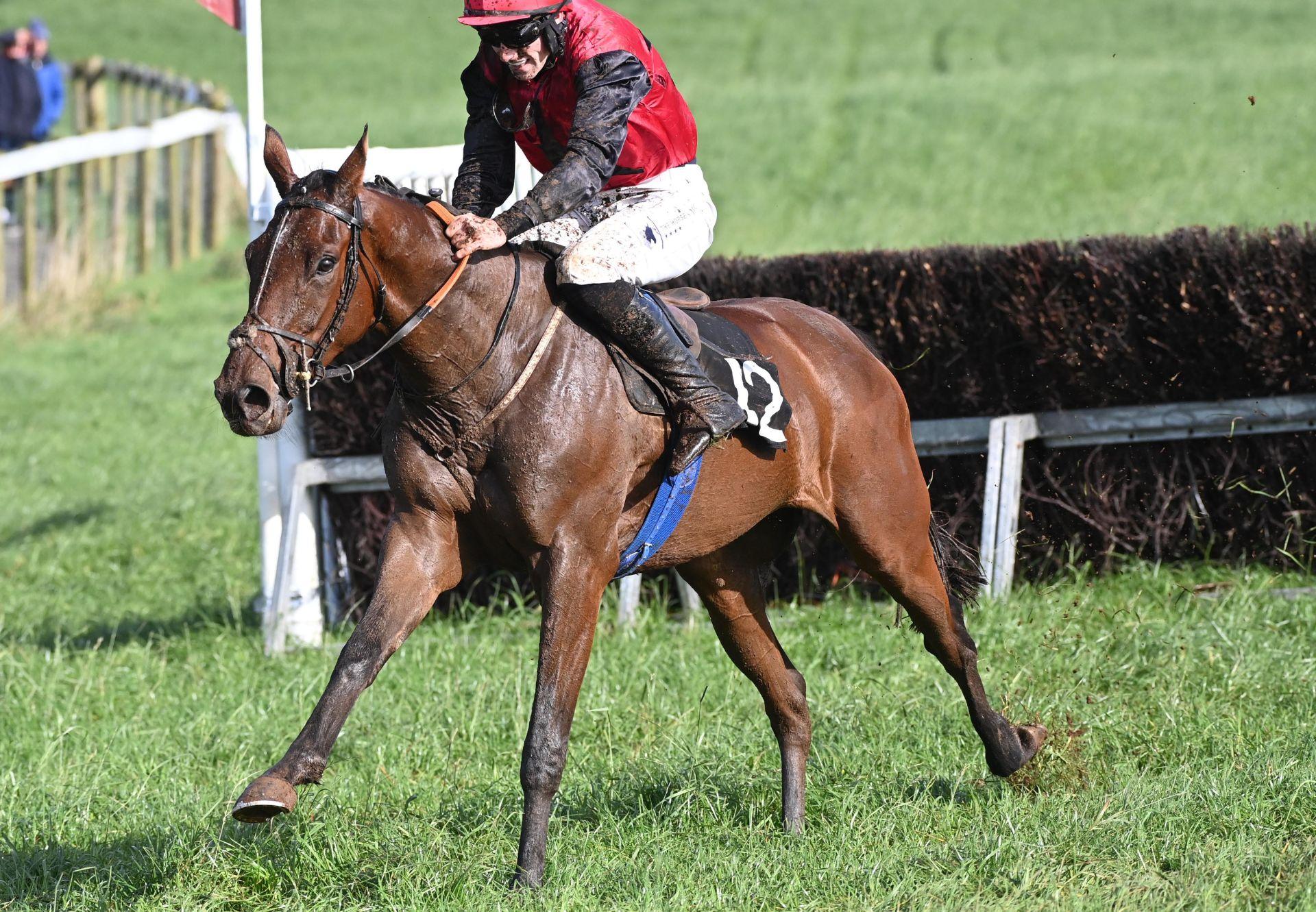 Impressive Four-Year-Old Winner For Order Of St George