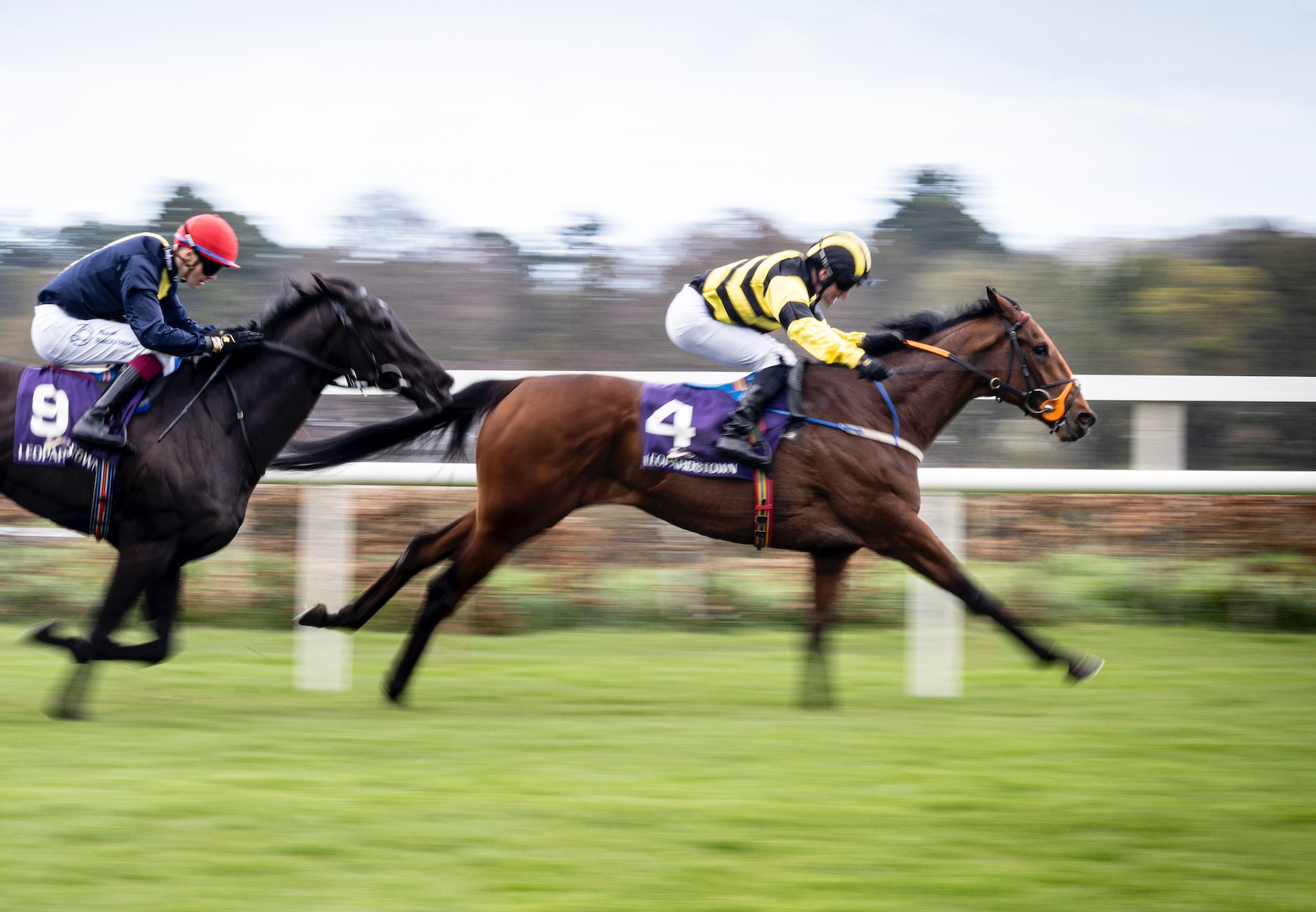 Wootton Bassett Colt Delivers On Leopardstown Debut