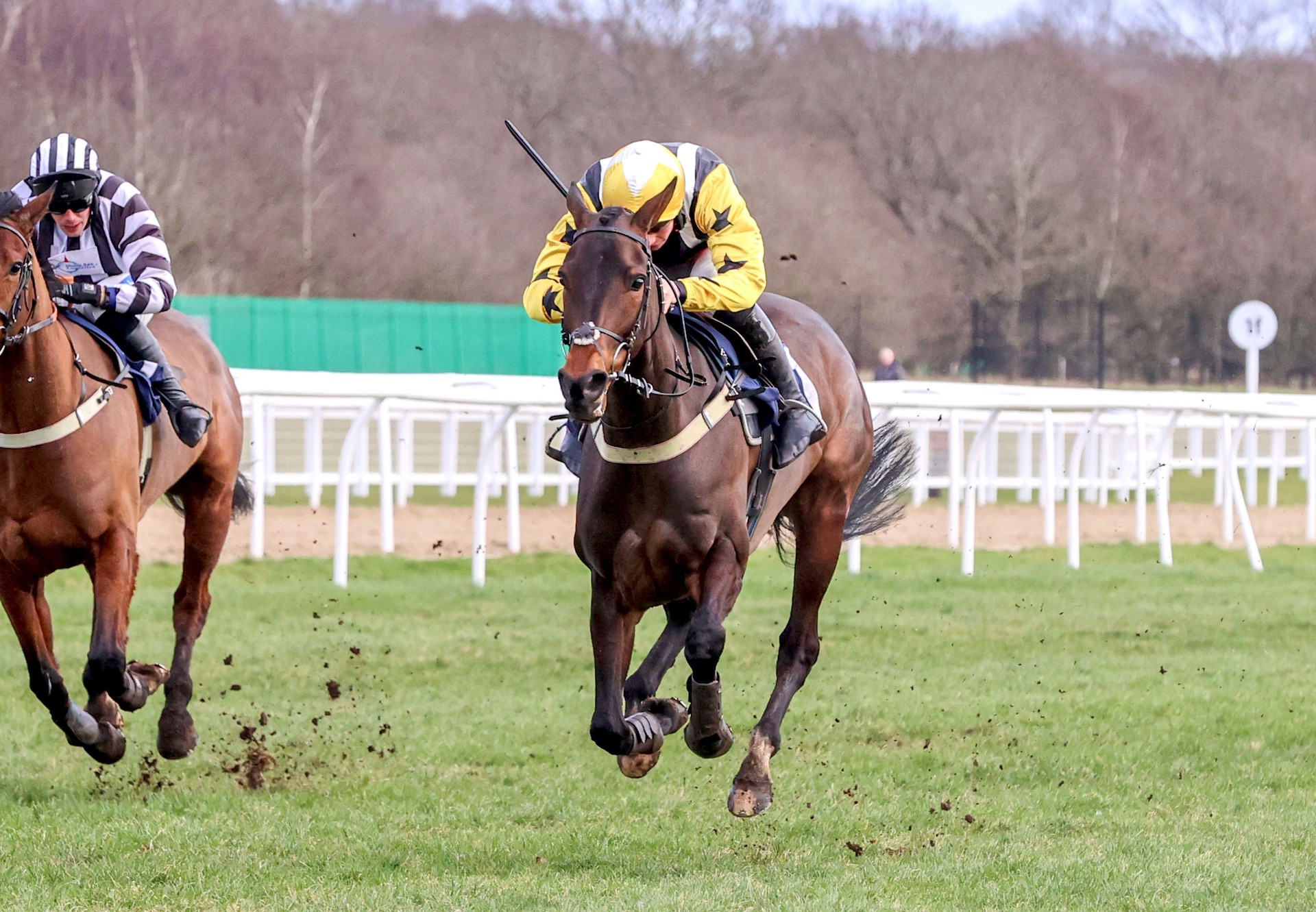 Getaway Mare Completes Impressive Four Timer