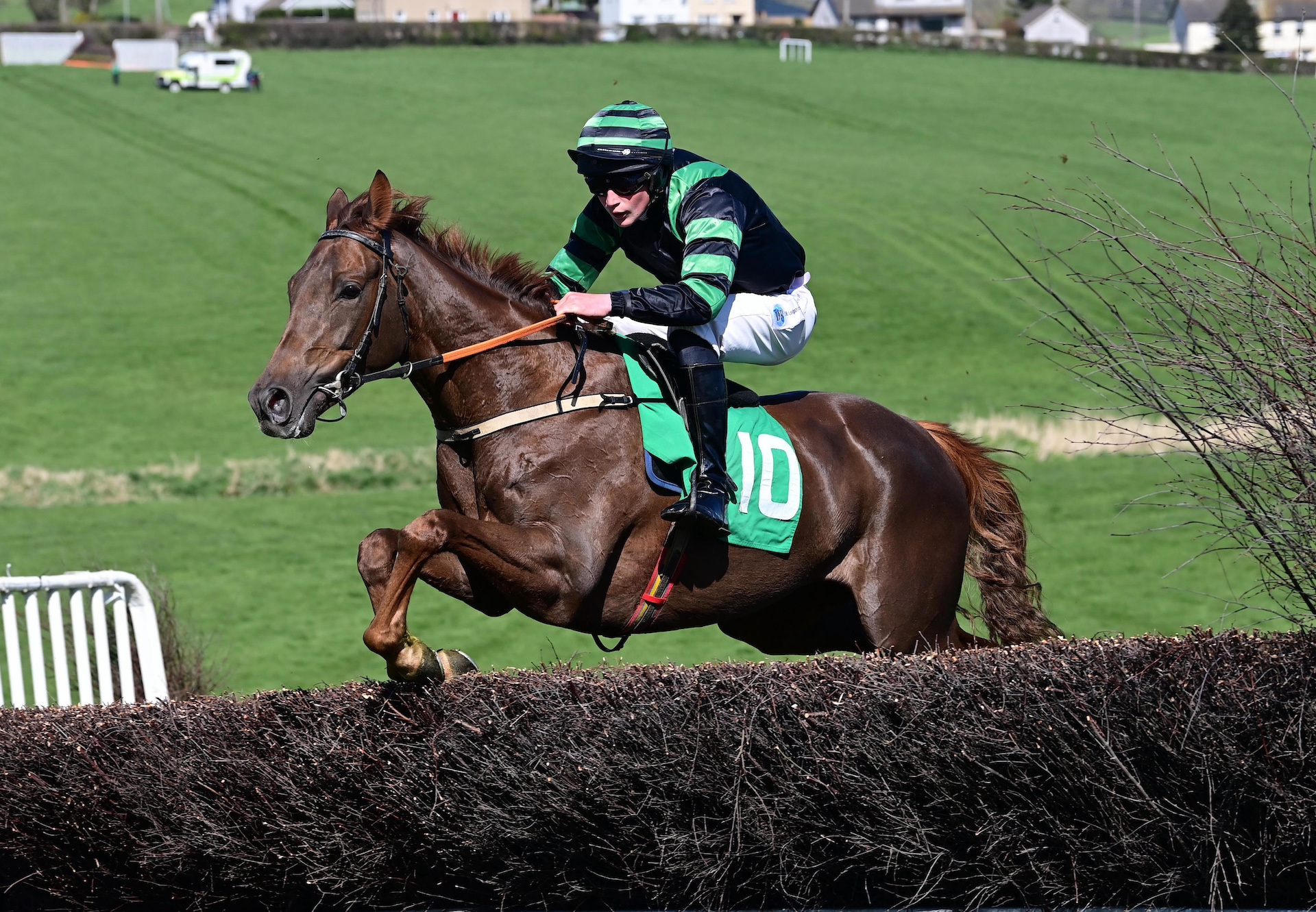 Two More Four-Year-Old Winners By Crystal Ocean