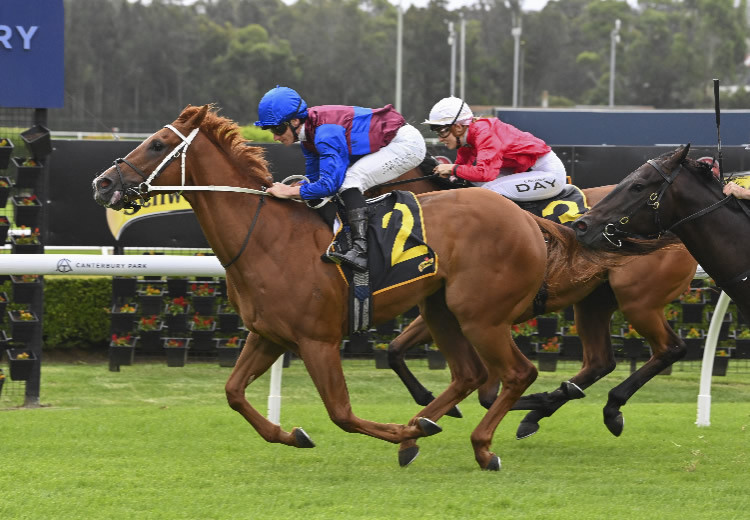 Justify Debut Winner for Nakeeta Jane