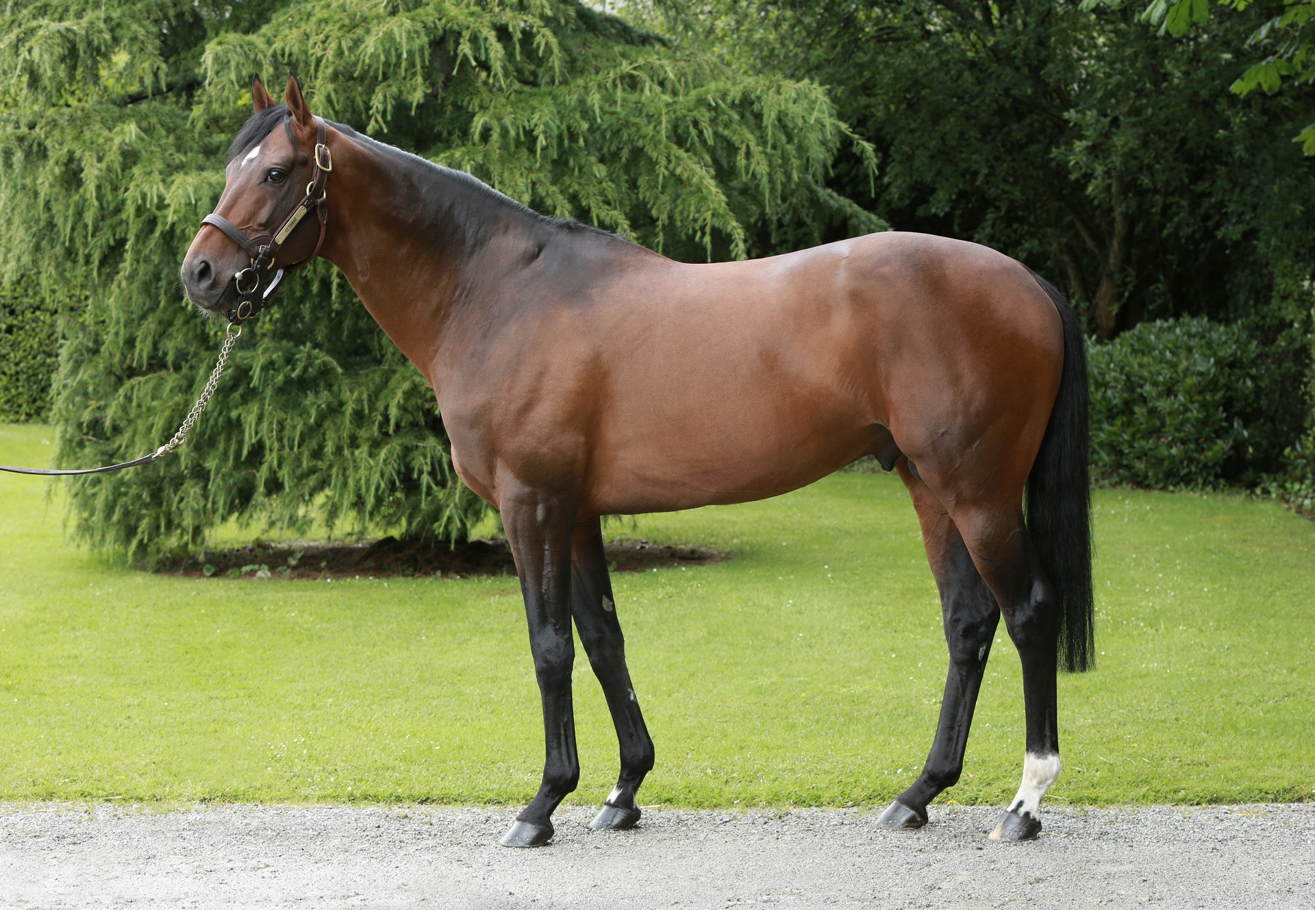 First Hurdles Win For Daughter Of Getaway