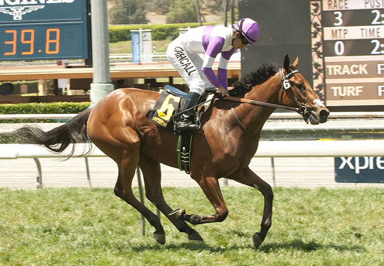 Impressive Santa Anita Turf Winner for Uncle Mo