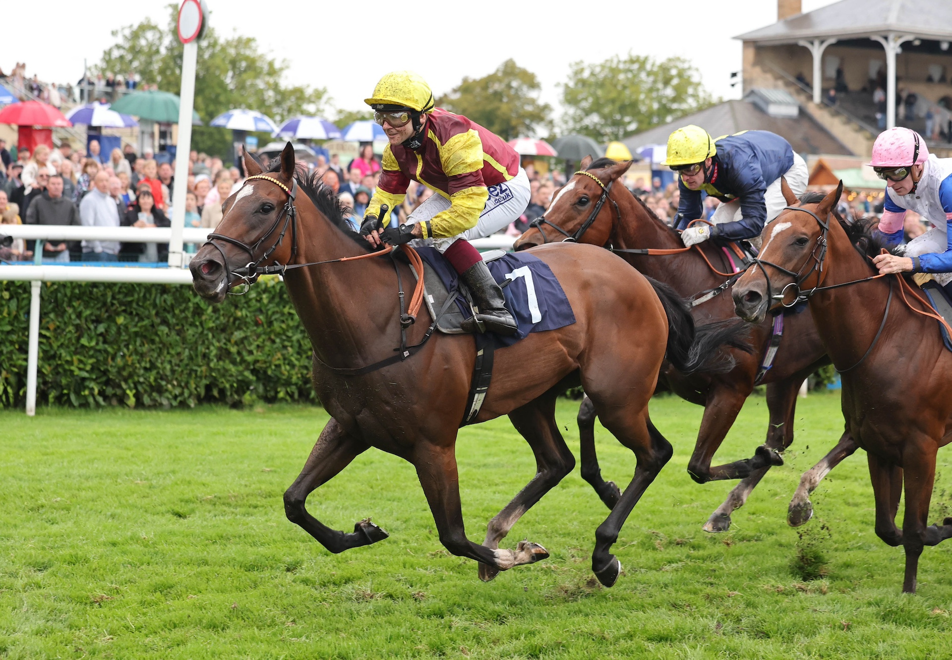 Holy Roman Emperor Filly Gains Second Stakes Success