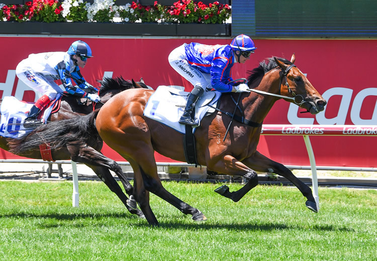 Home Affairs Colt Aiming Towards G1 Blue Diamond