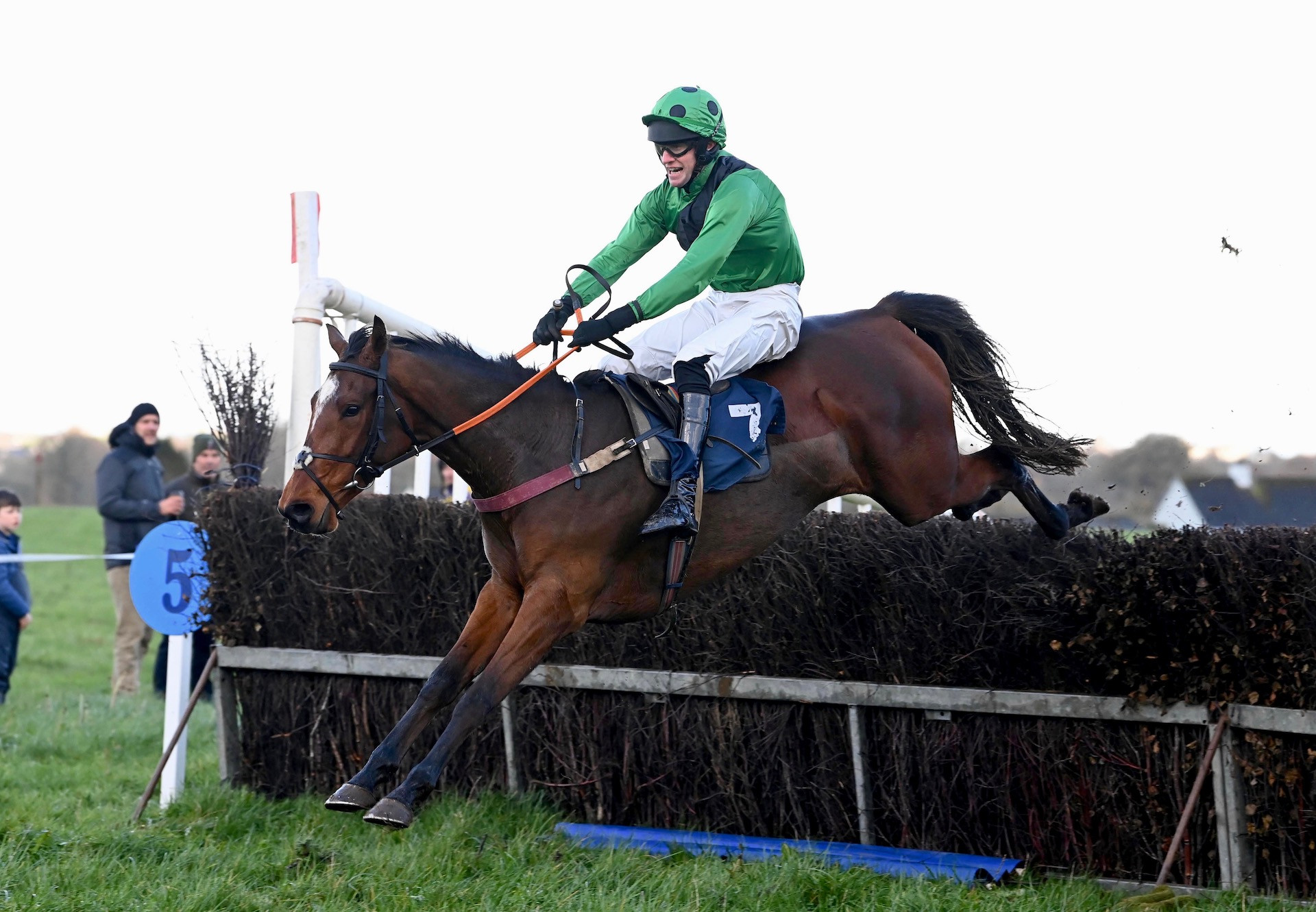 Soldier Of Fortune Mares Provide Timely Updates