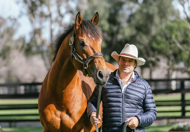 Home Affairs Arrives Safely at Coolmore