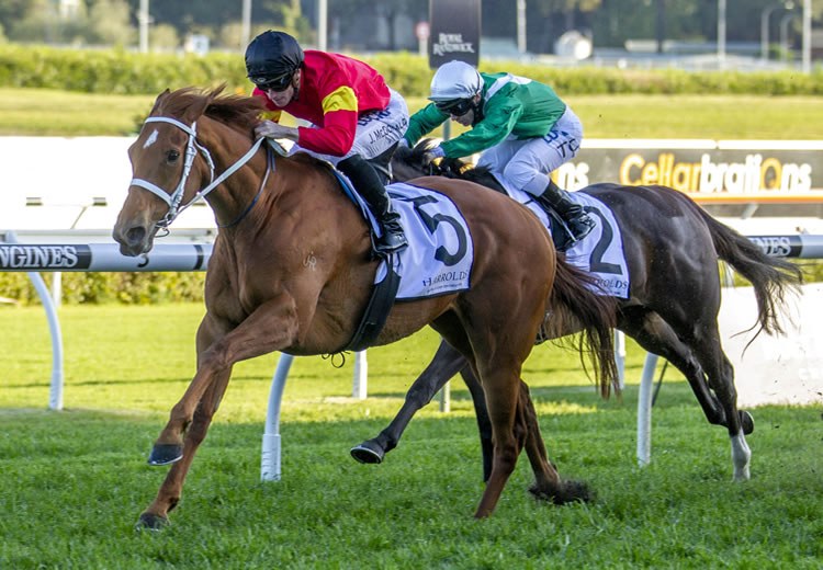 New G3 Winner for Choisir