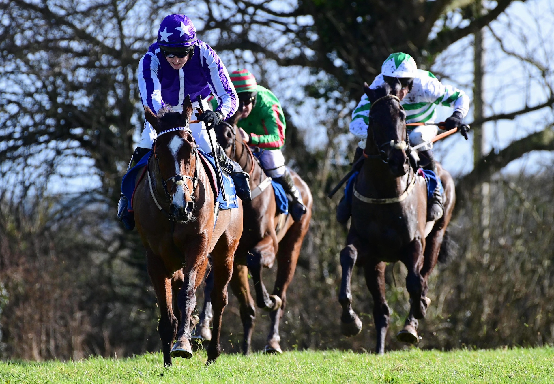 Four-Year-Old Maiden Winner From First Crop Of Idaho